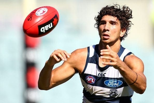 LATE MAIL: Cockatoo out of Tigers clash - AFL News - Zero Hanger