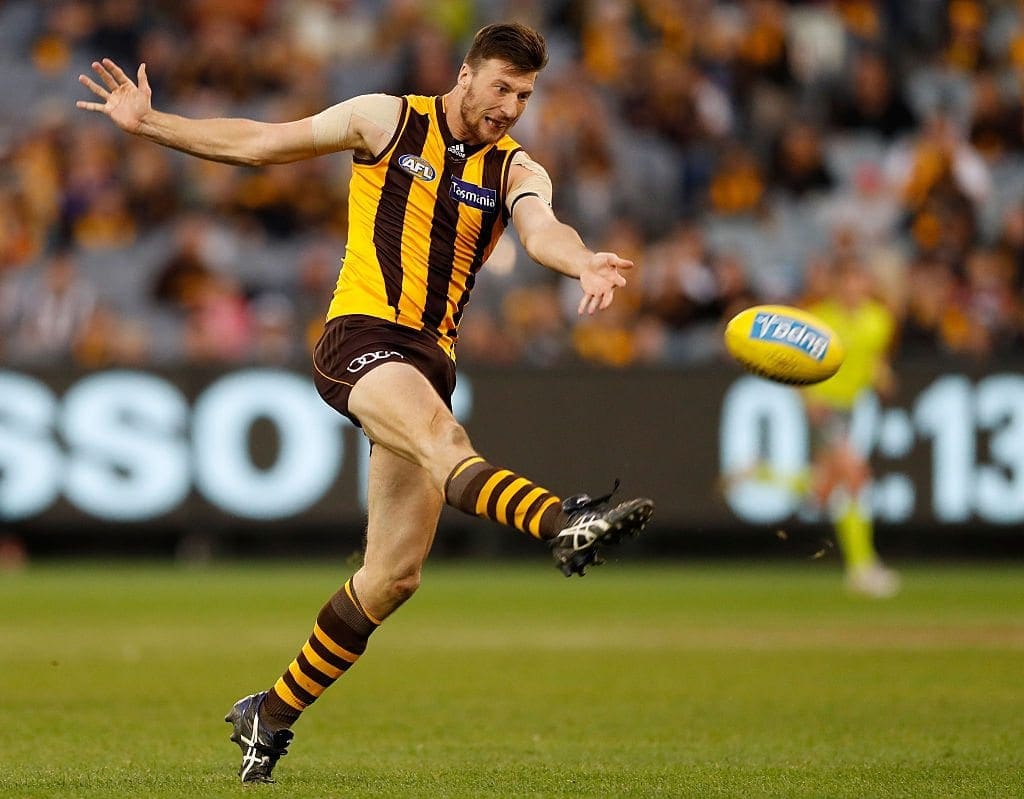 Hawthorn ruckman forced to retire - AFL News - Zero Hanger
