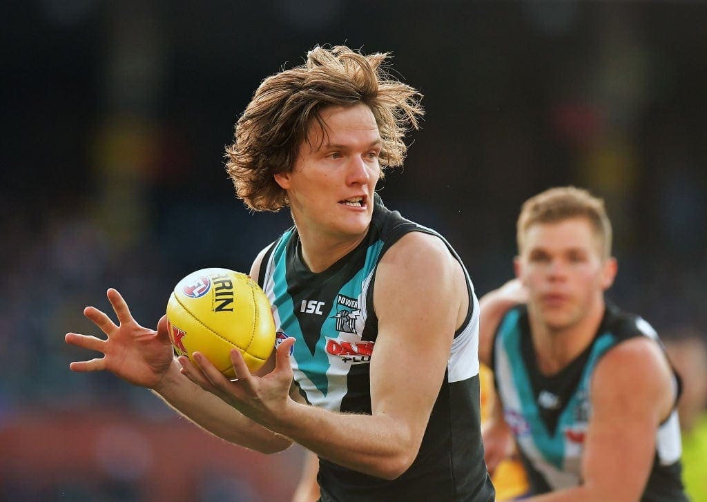 Polec confirms North Melbourne move - AFL News - Zero Hanger