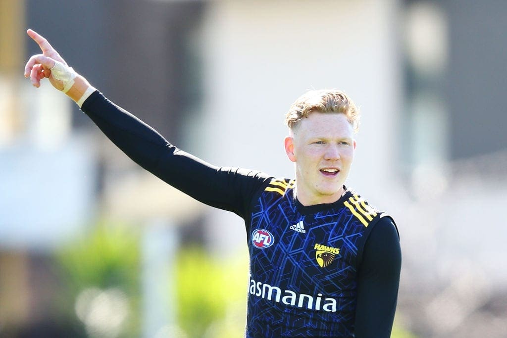 Quartermain's out-of-the-box suggestion for Hawks captaincy - AFL News ...