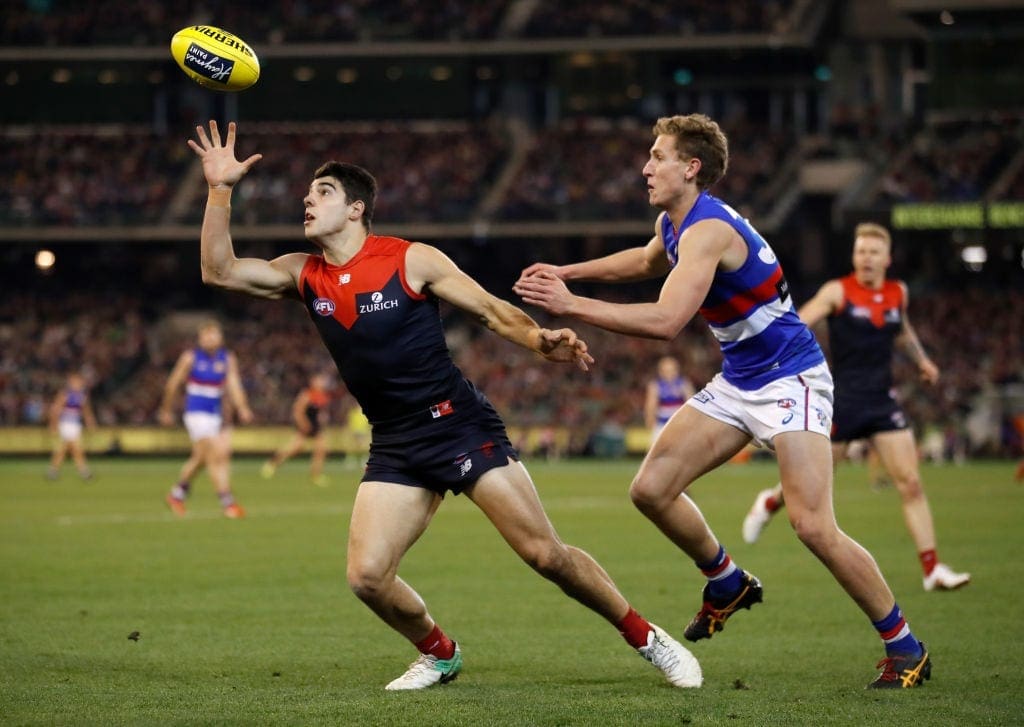 Bulldogs and Demons, Suns and Lions release squads for AAMI Community ...