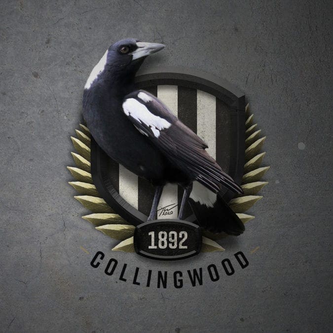 Graphic designer's amazing realistic logos for every AFL club - AFL ...