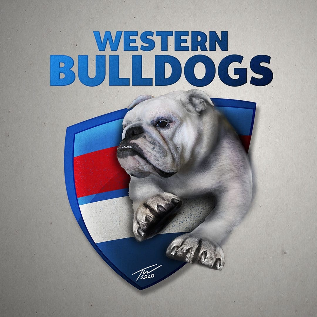 Graphic designer's amazing realistic logos for every AFL club - AFL ...