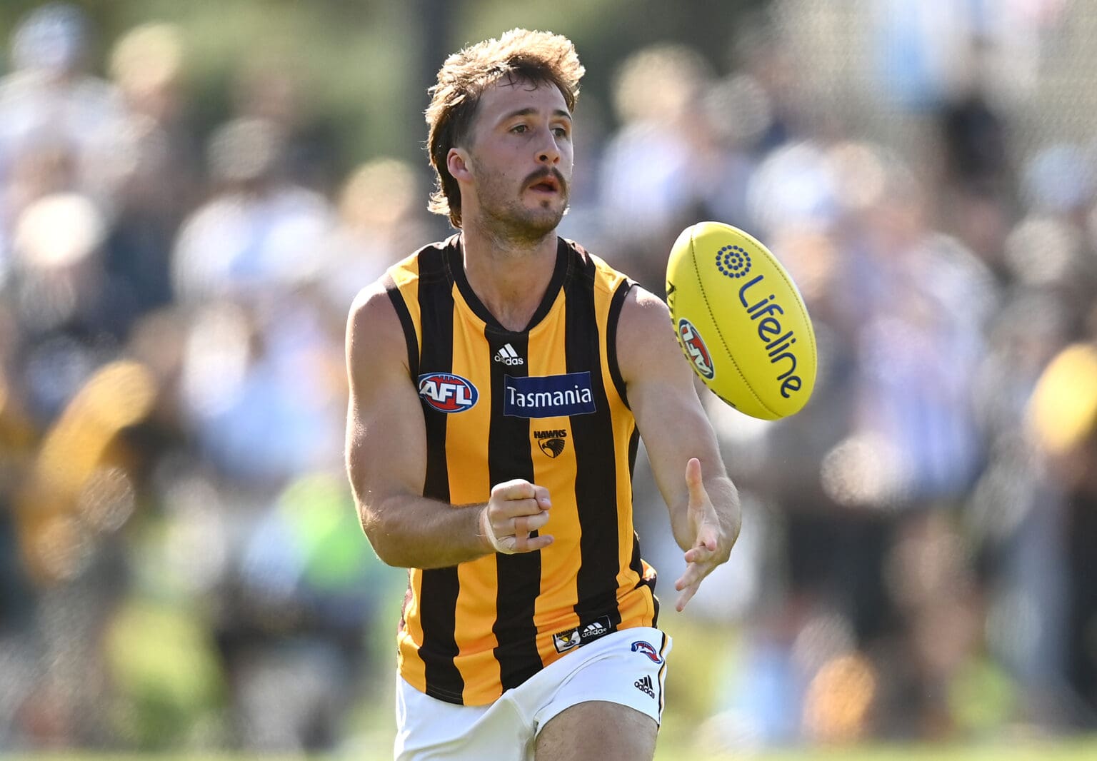 VFL News | Victoria Football League - Zero Hanger