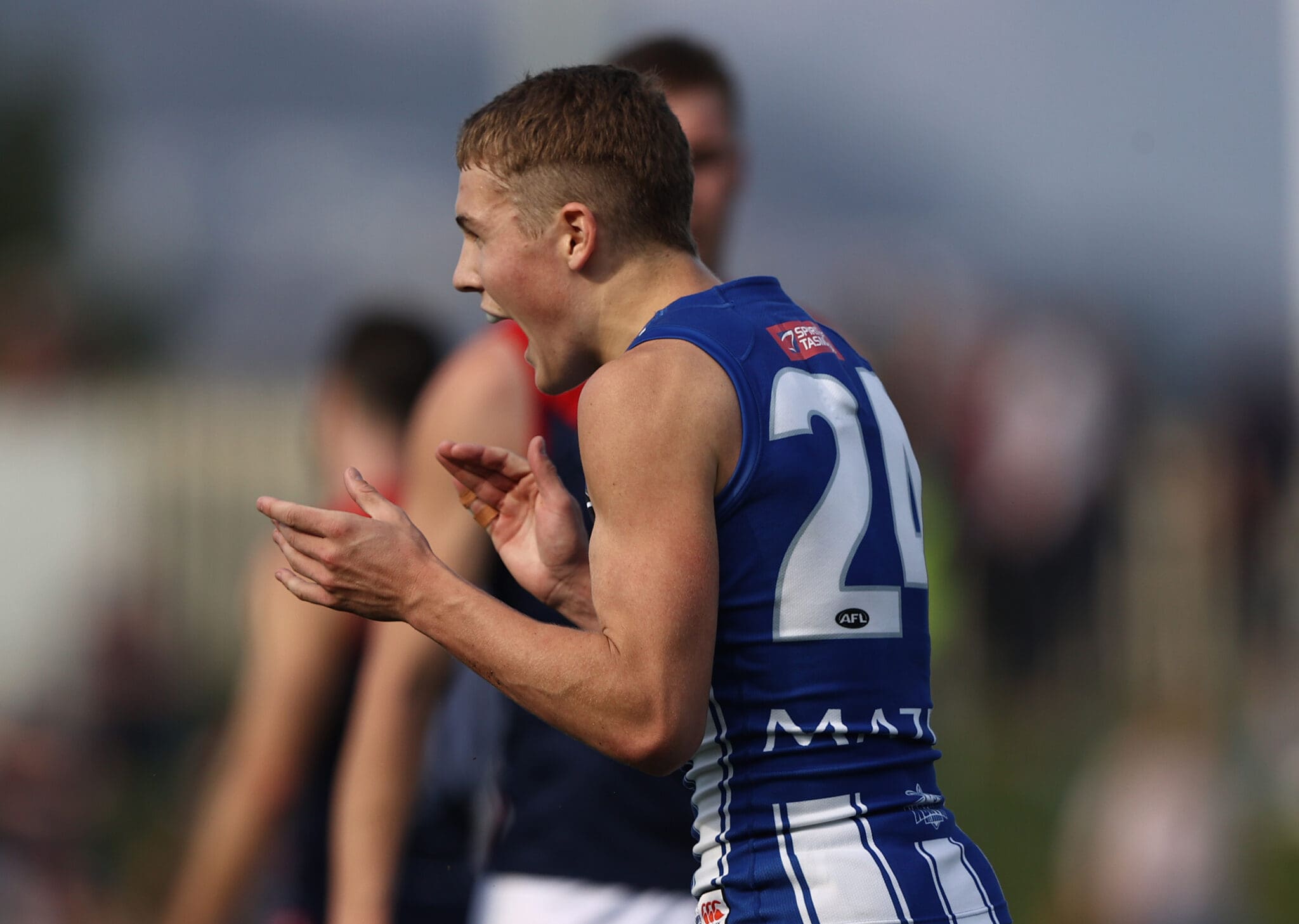 North Melbourne young gun Tom Powell re-signs - AFL News - Zero Hanger