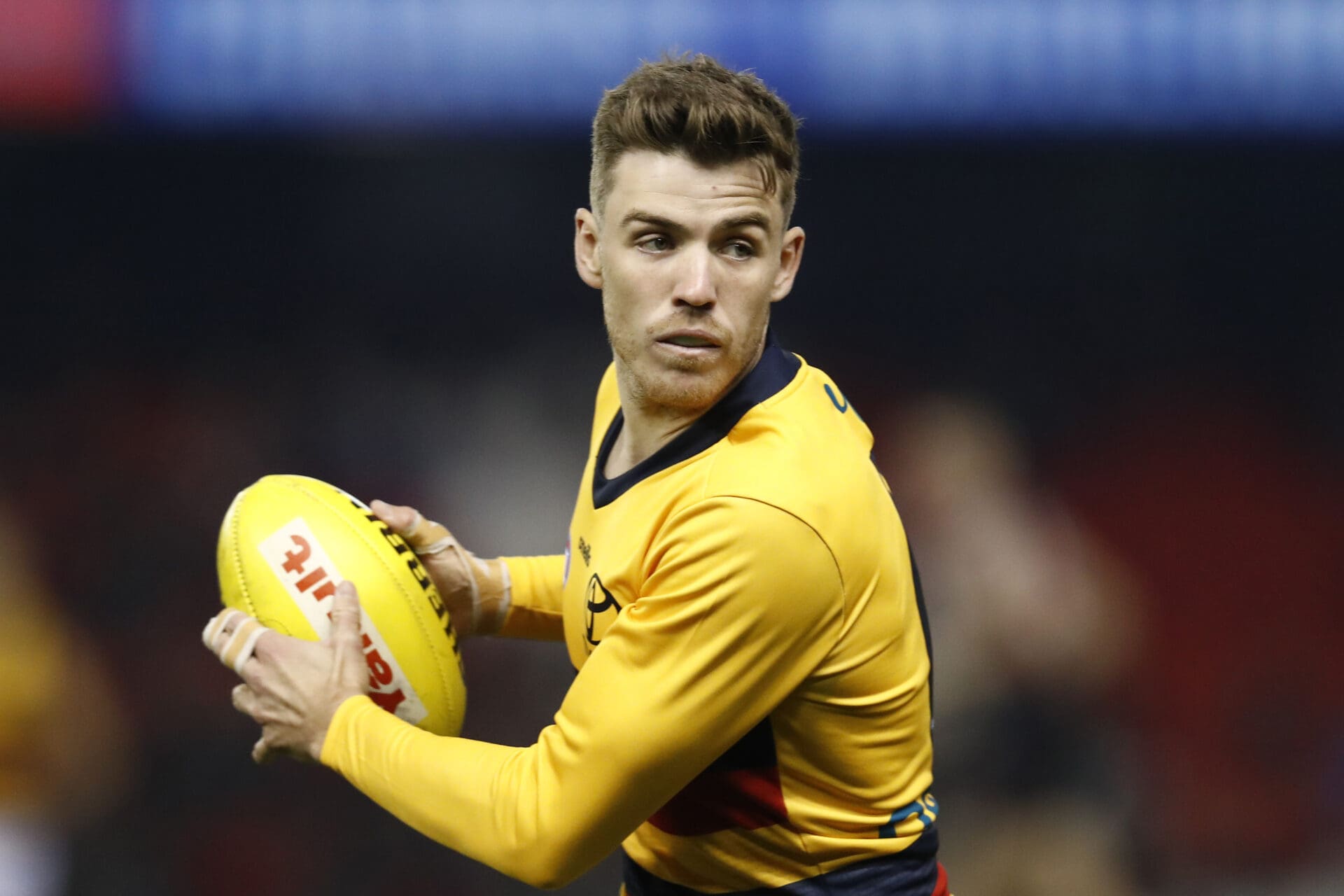 Adelaide Crow Paul Seedsman calls time on AFL career - AFL News - Zero ...