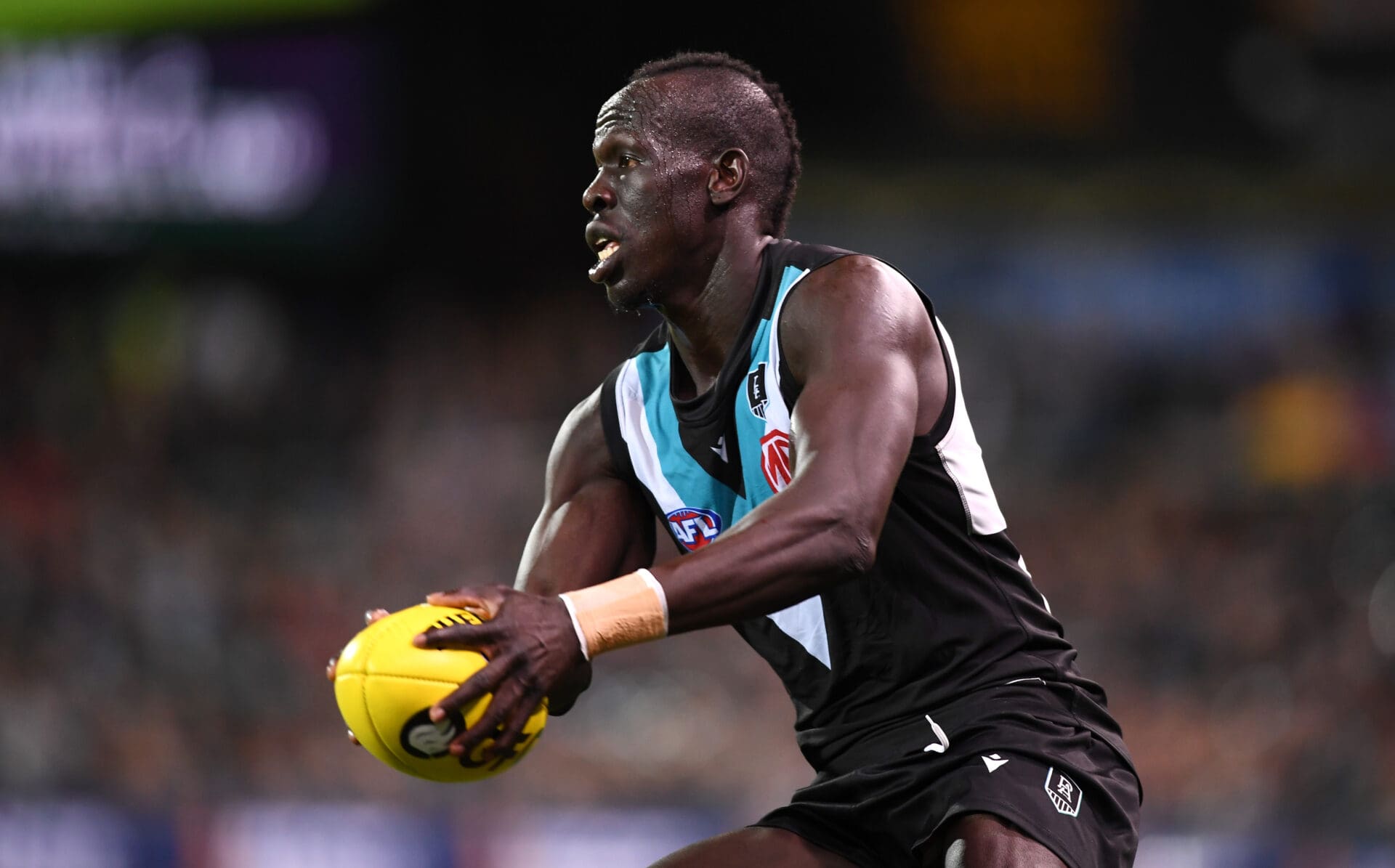 Port star set for surgery, recruits in line for club debuts - AFL News ...