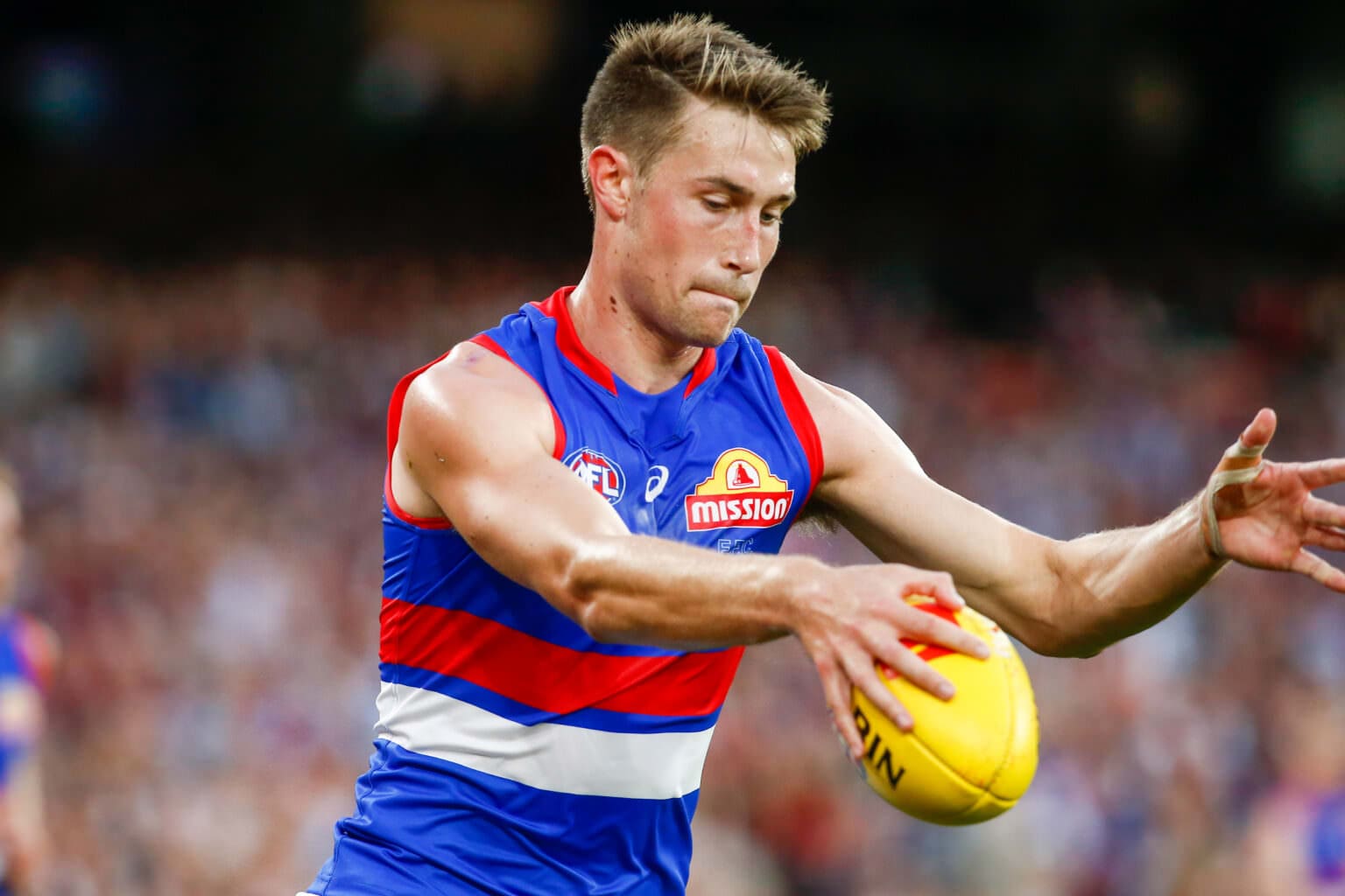 Western Bulldogs defender Ryan Gardner secures future with contract extension - AFL News - Zero ...