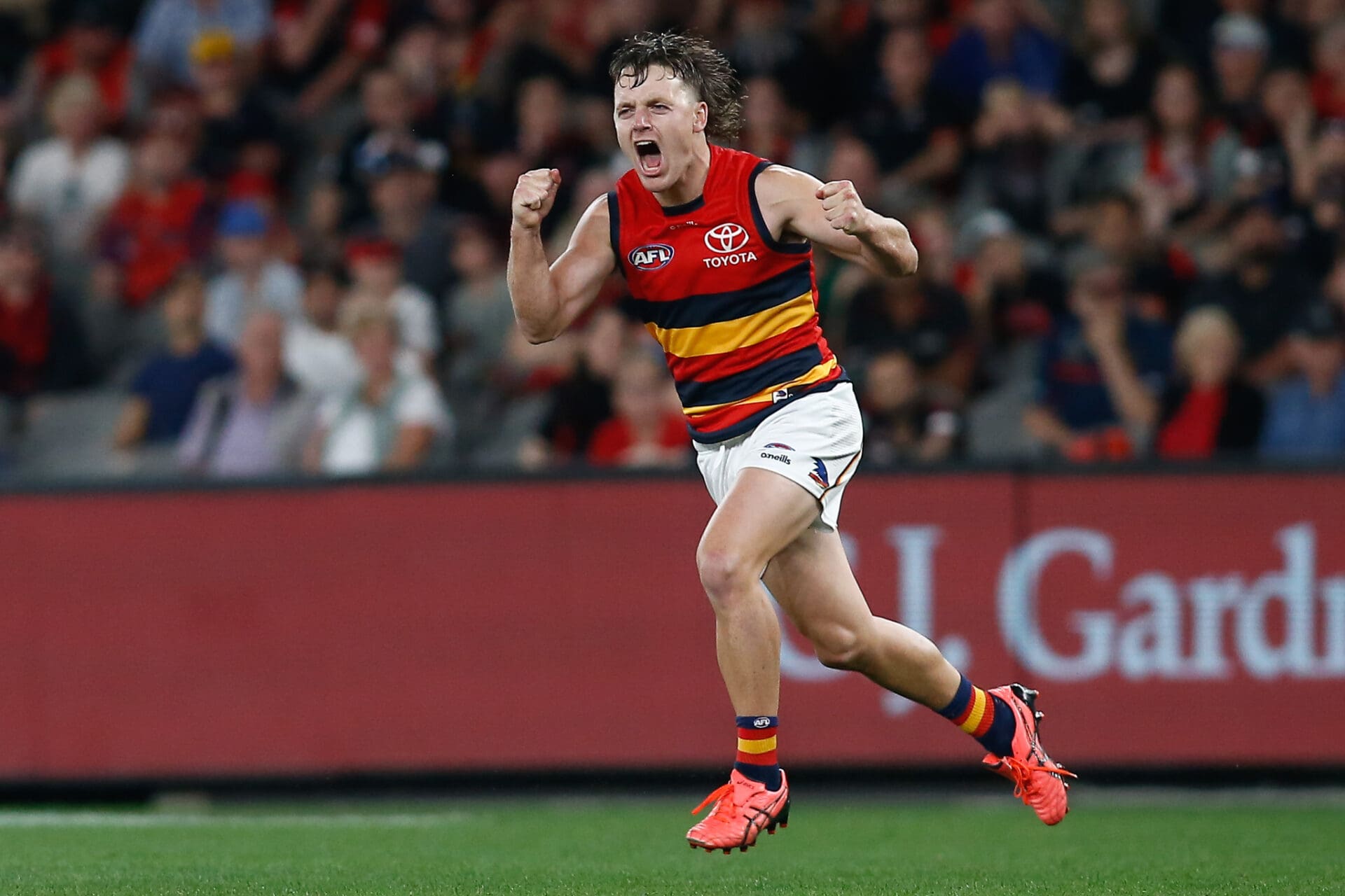Adelaide urge clubs to look toward delisted forward James Rowe - AFL ...