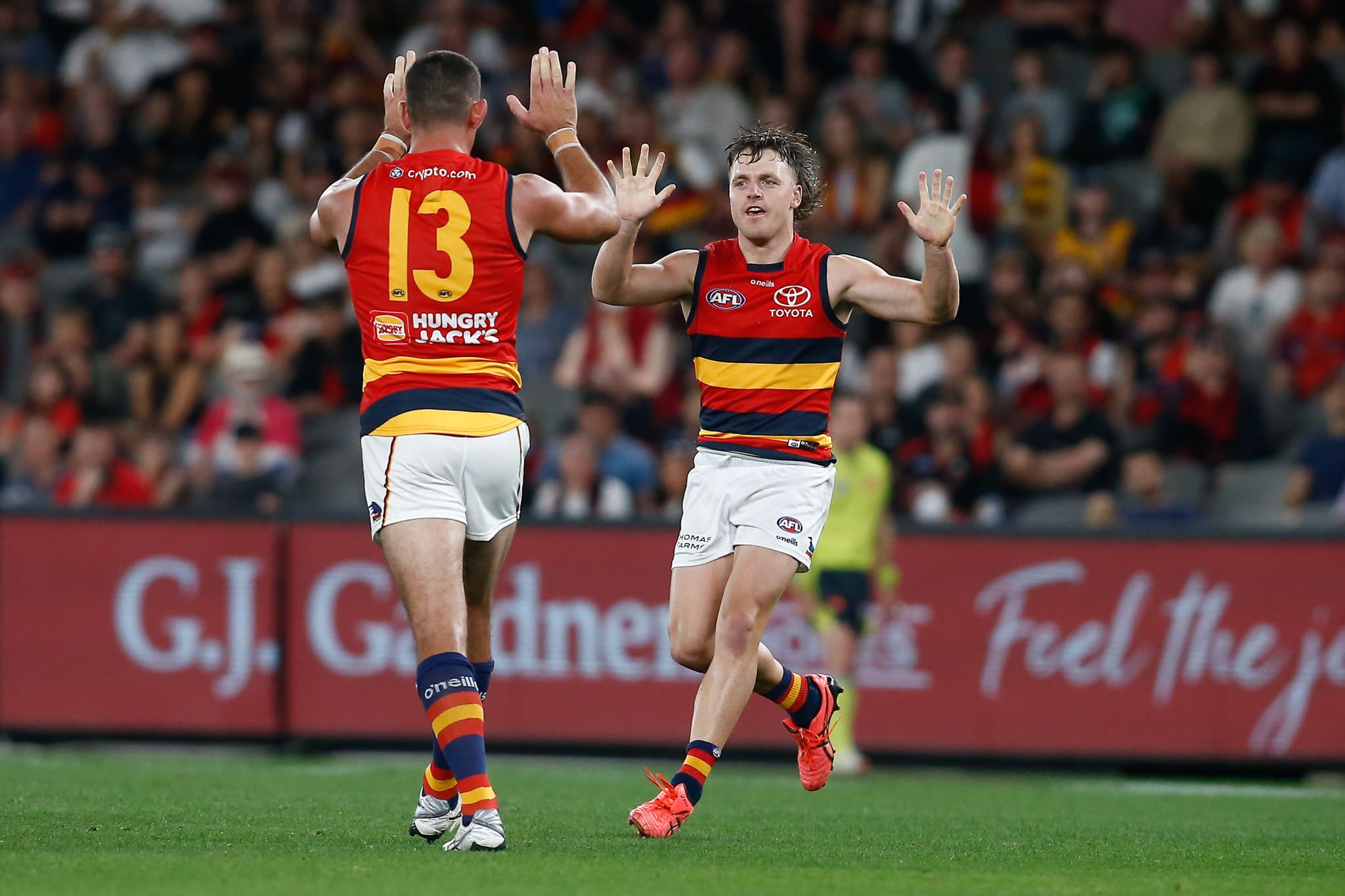 Adelaide urge clubs to look toward delisted forward James Rowe - AFL ...