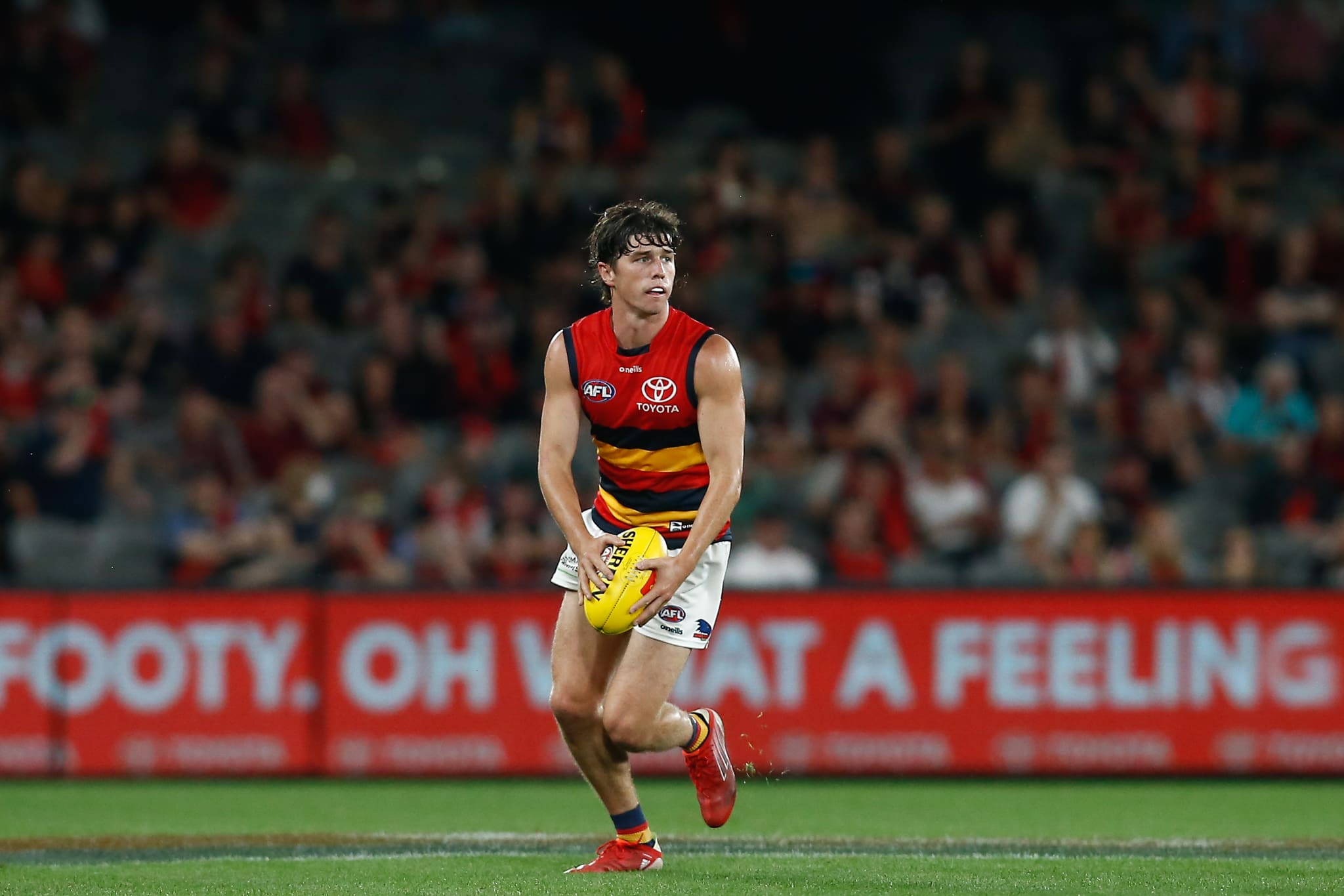 Delisted Crow happy to step away from football - AFL News - Zero Hanger
