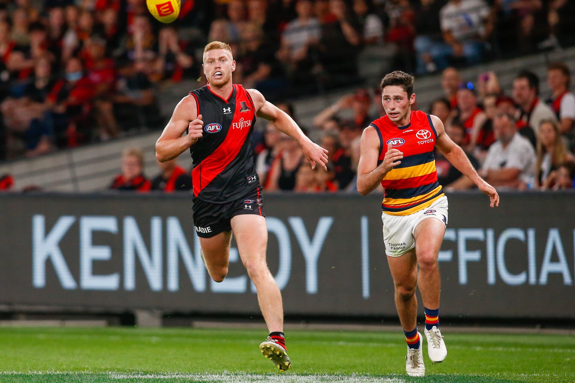 Essendon confirm big blow for forward Peter Wright - AFL News - Zero Hanger