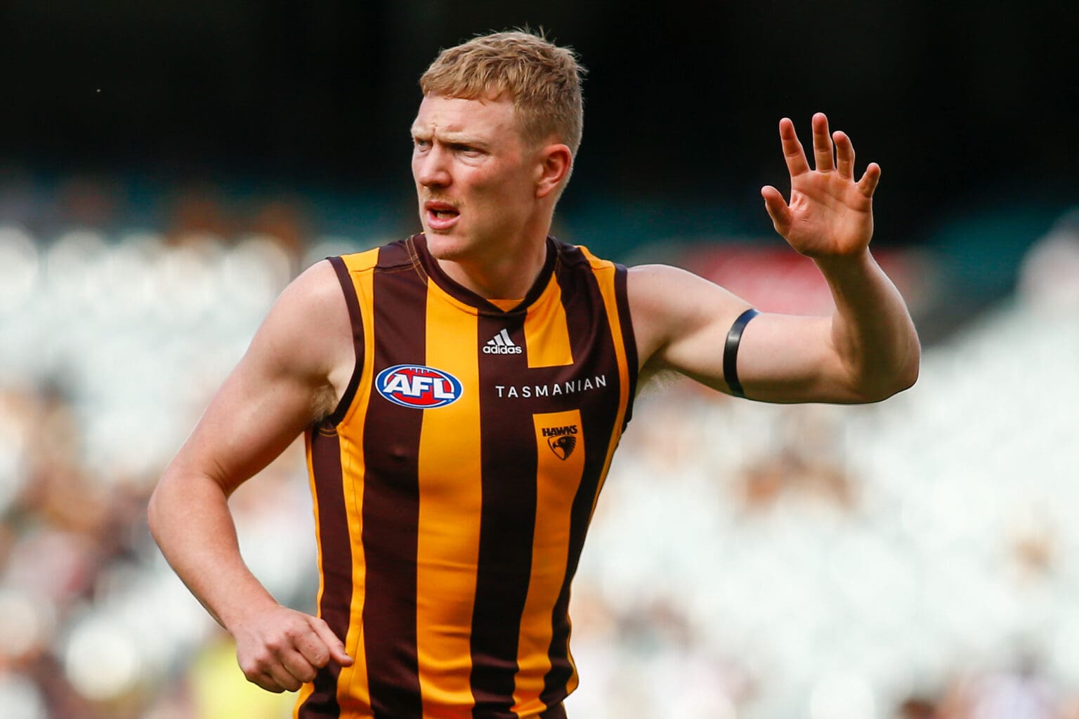 Every AFL team's best 23 for '23: Hawthorn Hawks - AFL News - Zero Hanger