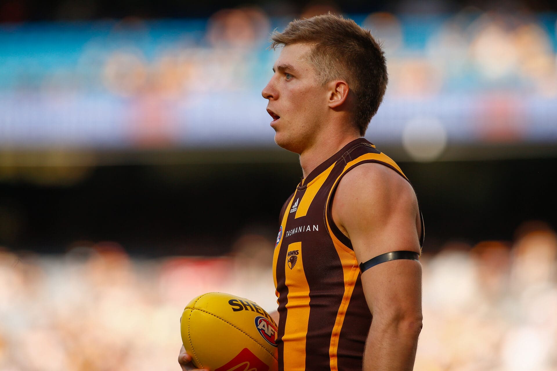 Every AFL team's best 23 for '23: Hawthorn Hawks - AFL News - Zero Hanger