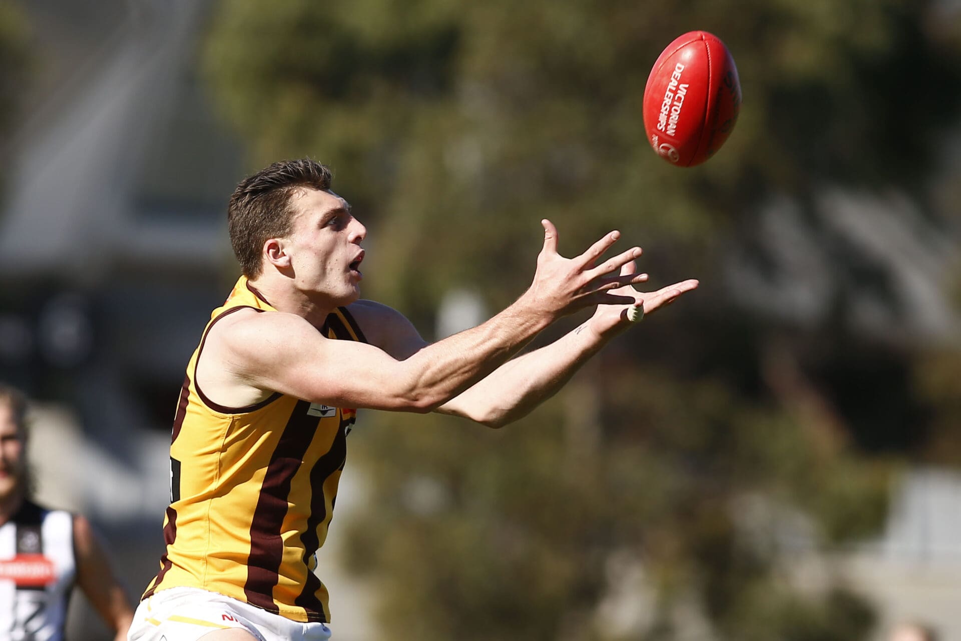 Week one VFL finals fixure confirmed - AFL News - Zero Hanger