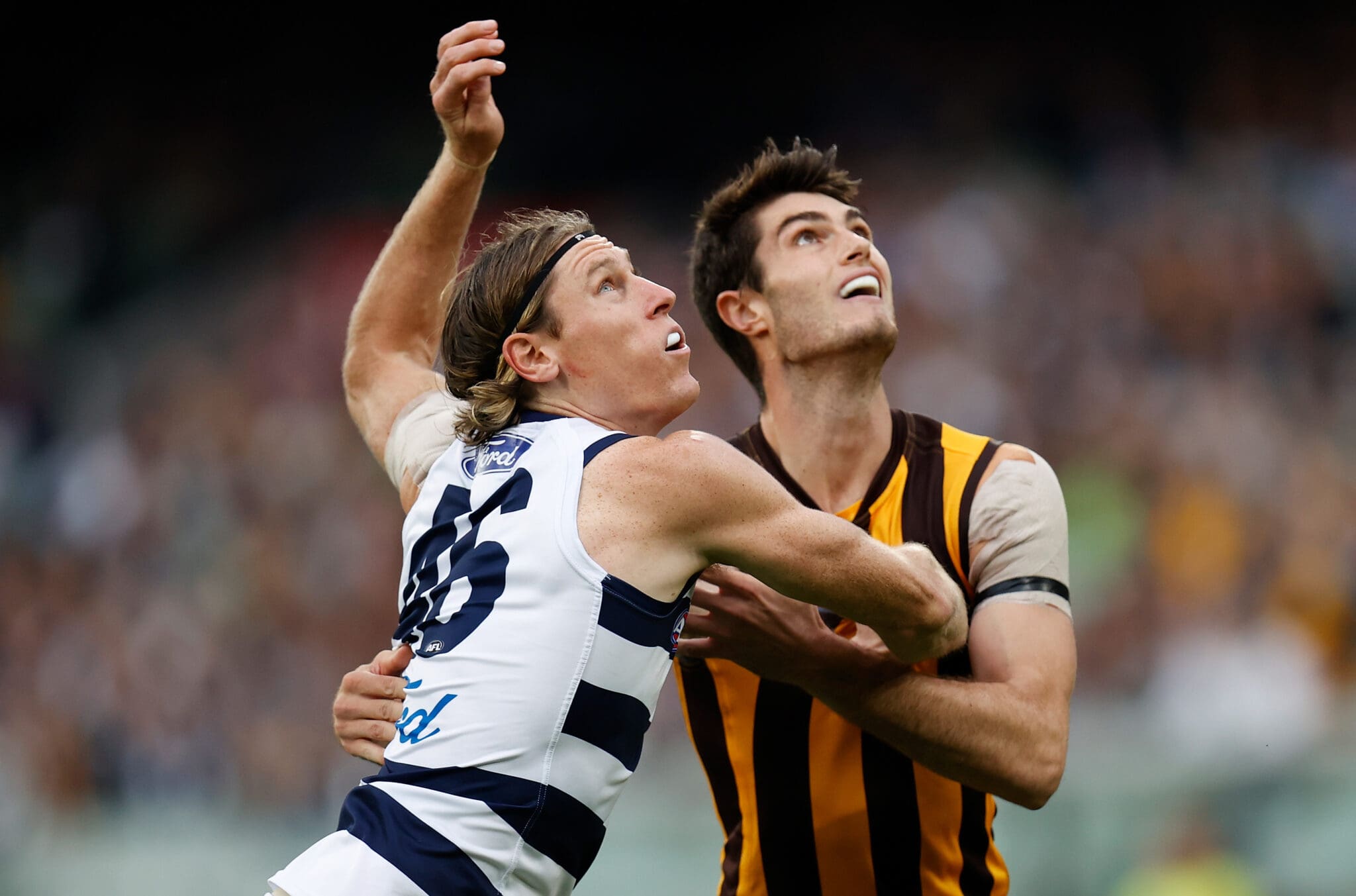 Hawks ruckman Ned Reeves ruled out for remainder of season - AFL News ...