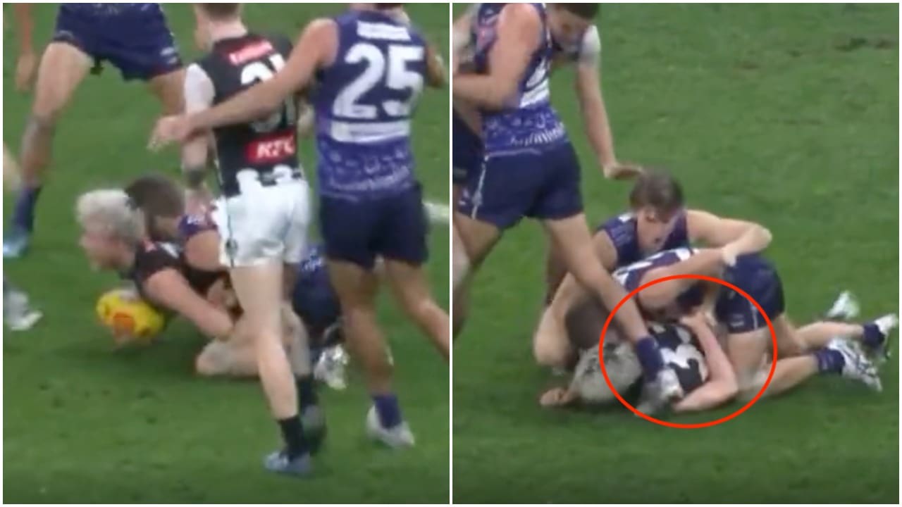 Afl Tribunal Hand Down Switkowski Punishment Afl News Zero Hanger