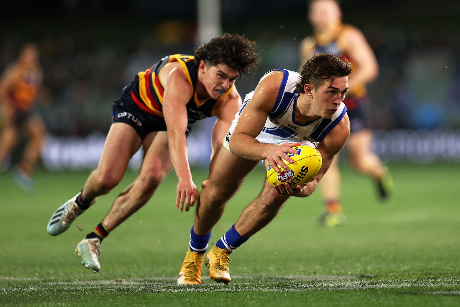 Season over for North Melbourne young gun Will Phillips - AFL News ...