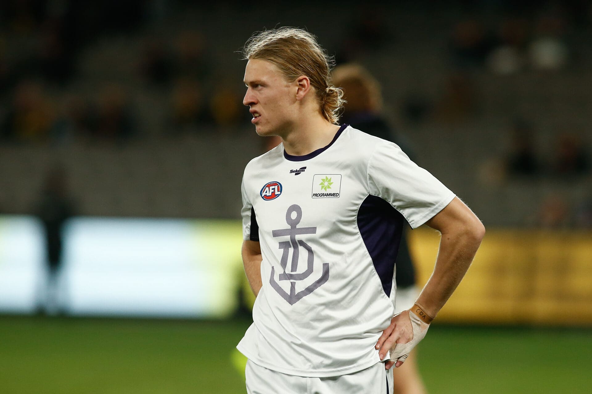 Fremantle defender Hayden Young to miss Collingwood clash - AFL News ...