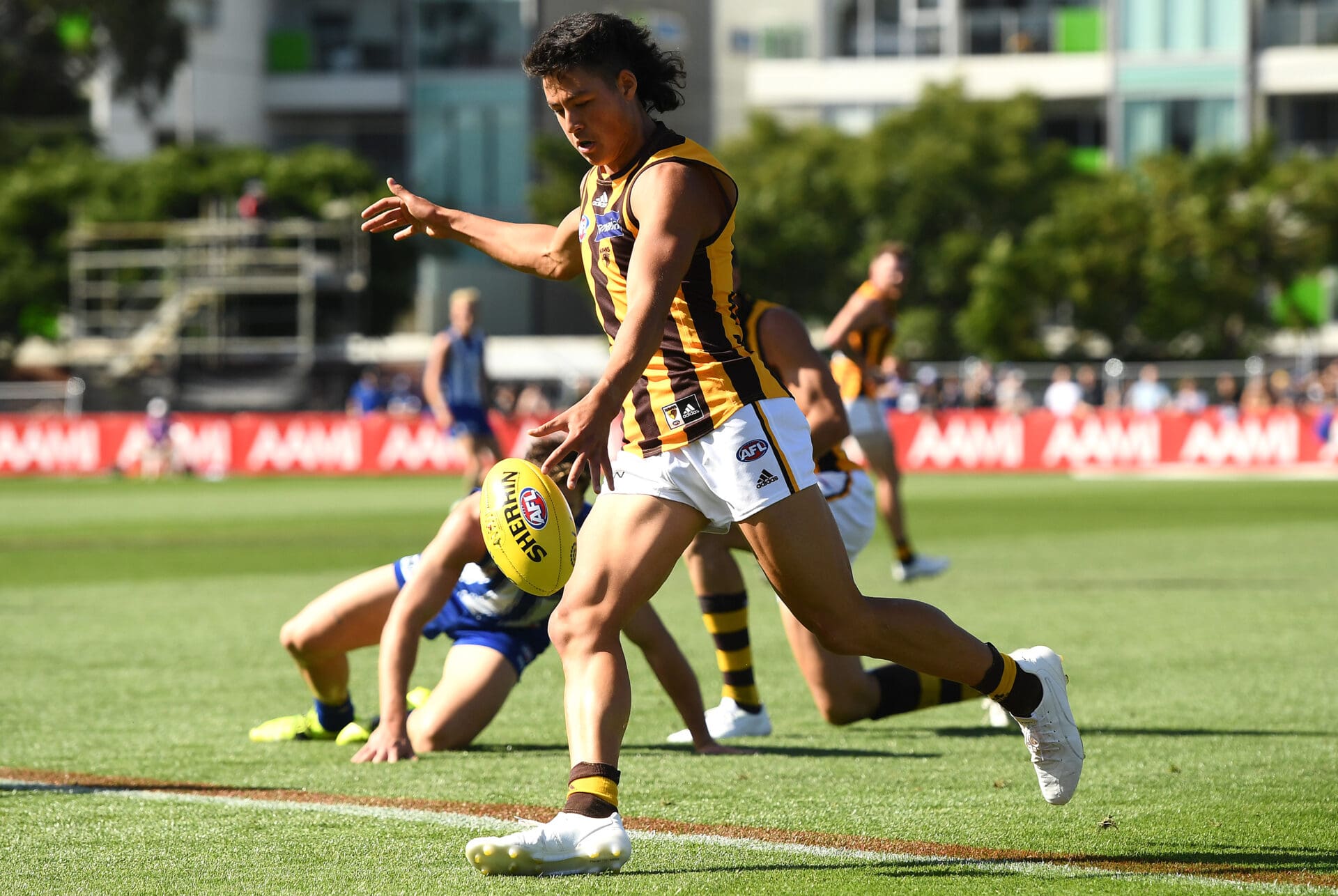 Former Hawk Connor Downie joins North Melbourne VFL - AFL News - Zero Hanger