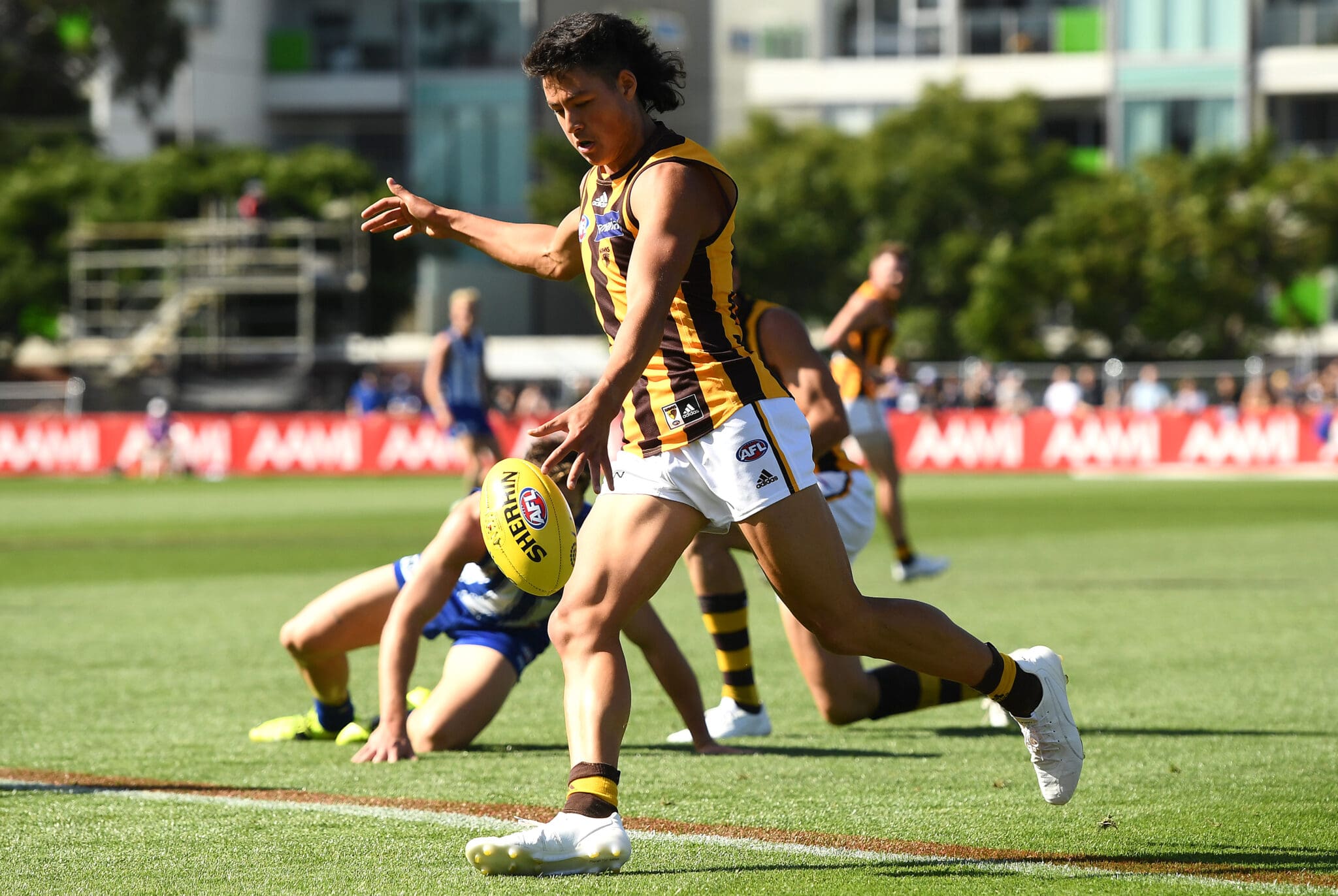 Former Hawk Connor Downie joins North Melbourne VFL - AFL News - Zero ...