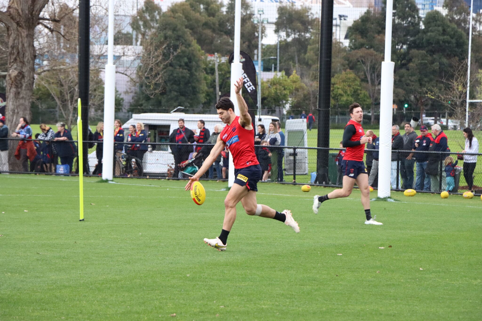 Demons provide update on Petracca injury - AFL News - Zero Hanger