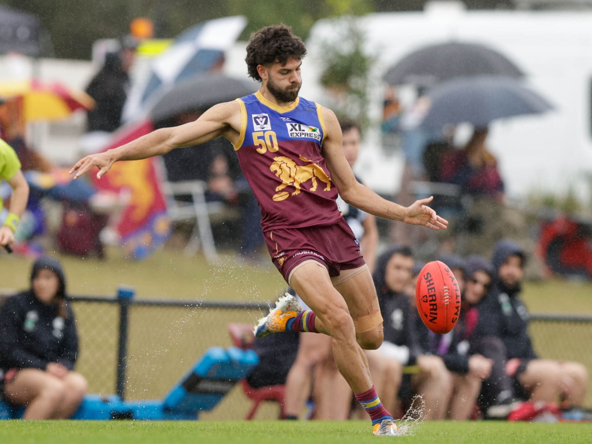 Brisbane to add third father-son selection to their list through Darryl ...