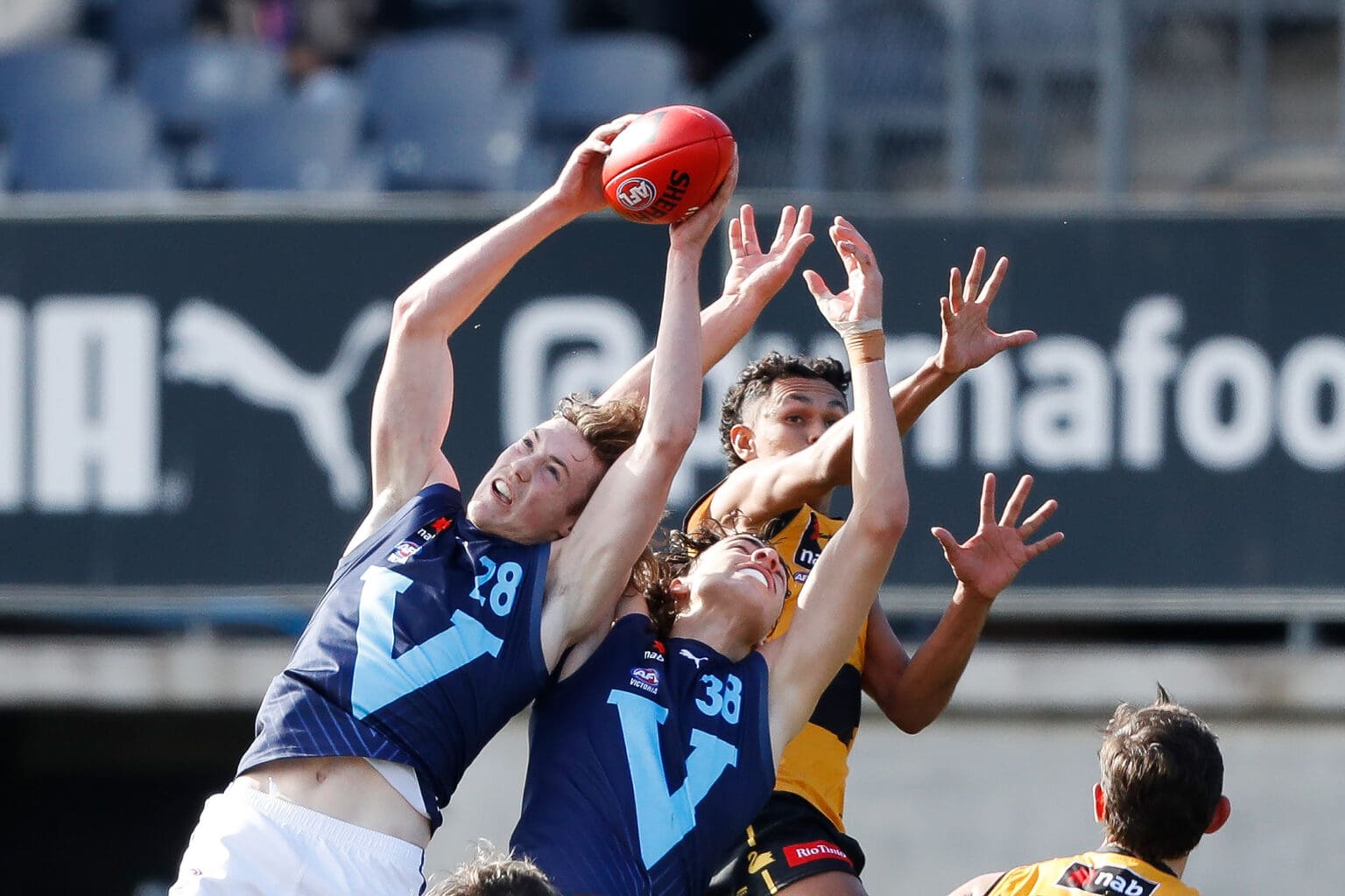 AFL Draft Profile: Josh Weddle - AFL News - Zero Hanger