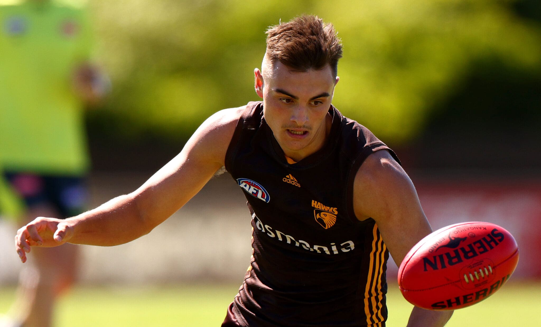 Hawks to blood debutant Seamus Mitchell for Gather Round - AFL News ...