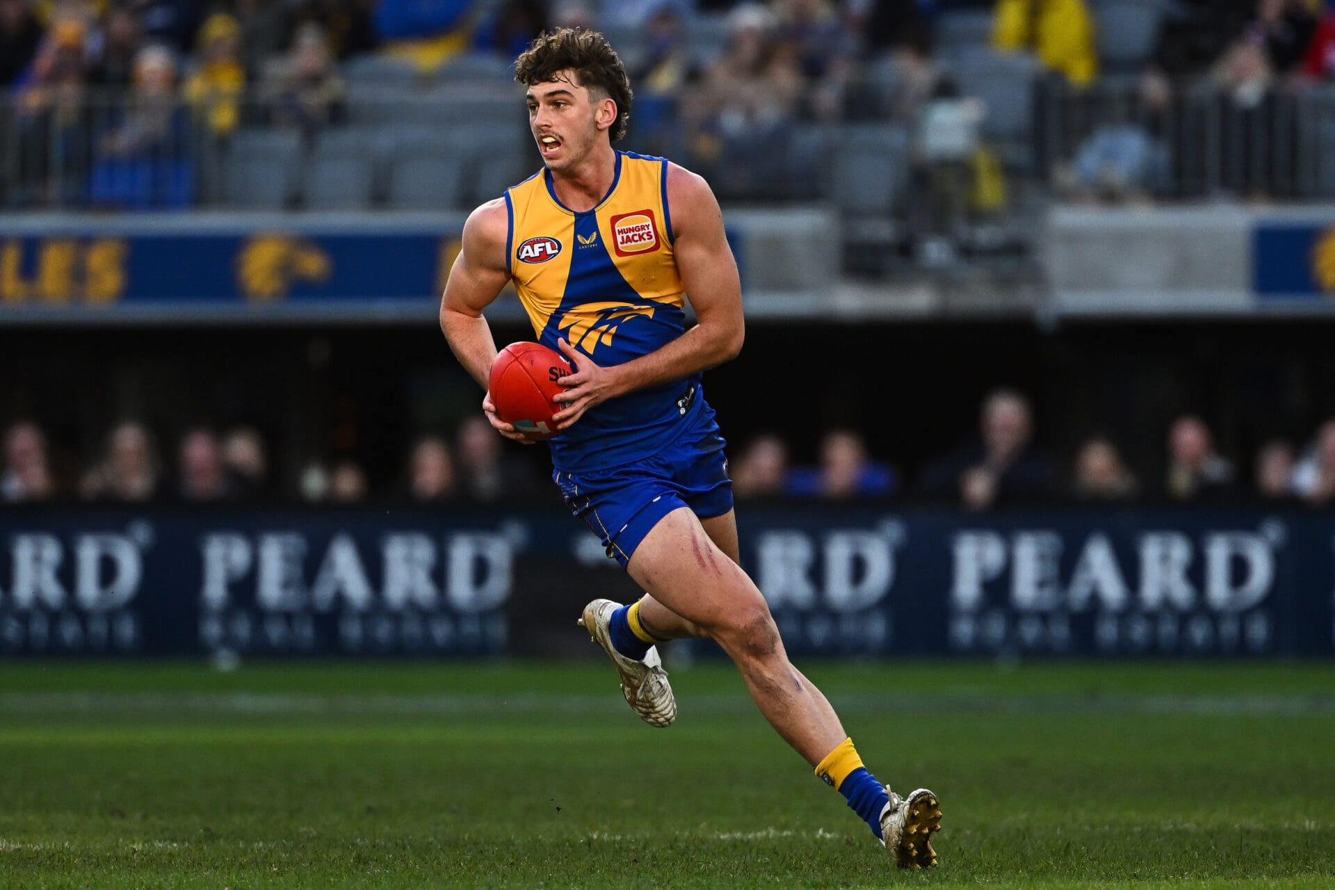 What will West Coast's backline look like in 2024? - AFL News - Zero Hanger