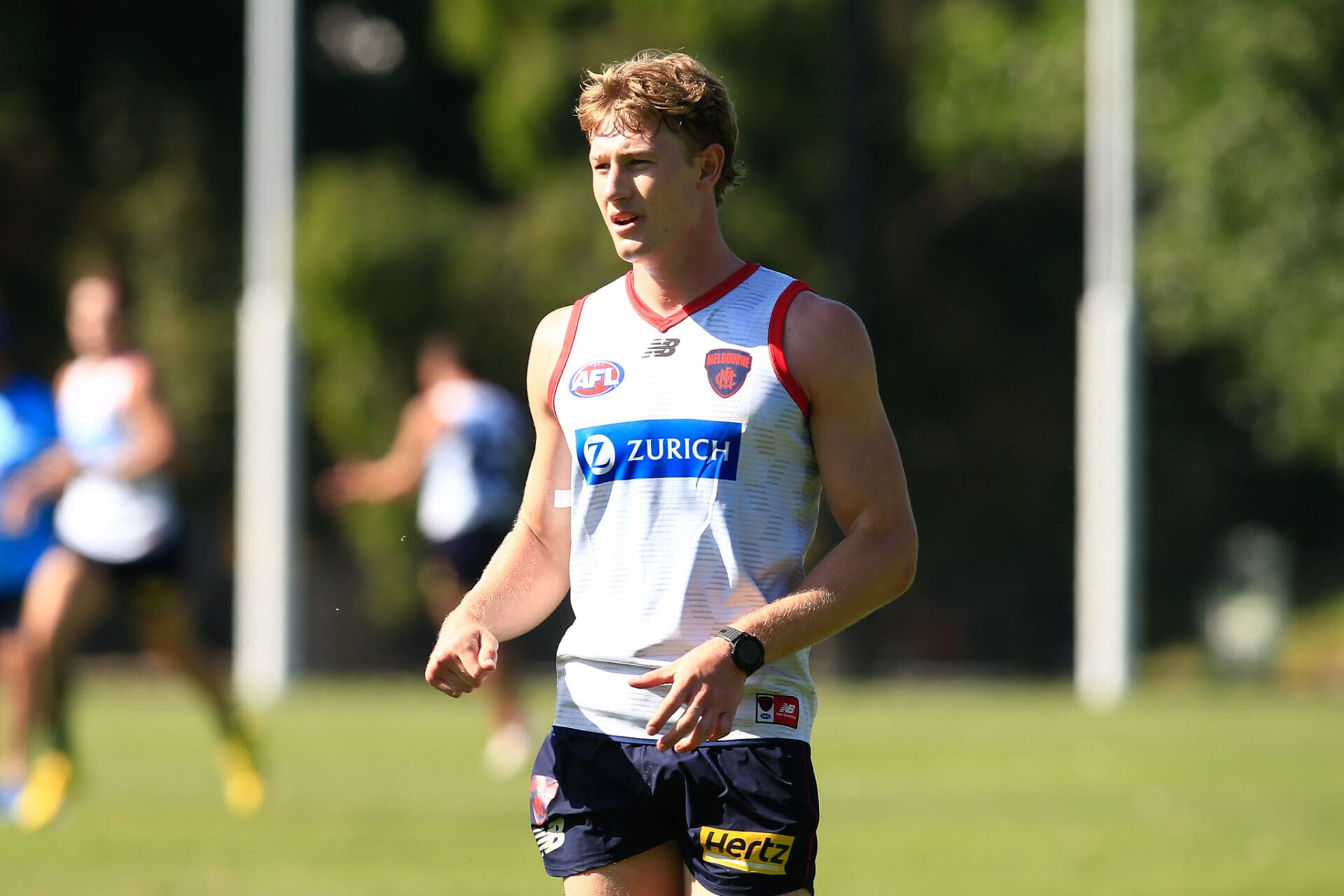 Track watch: Concerns for Melbourne defender after match sim injury ...