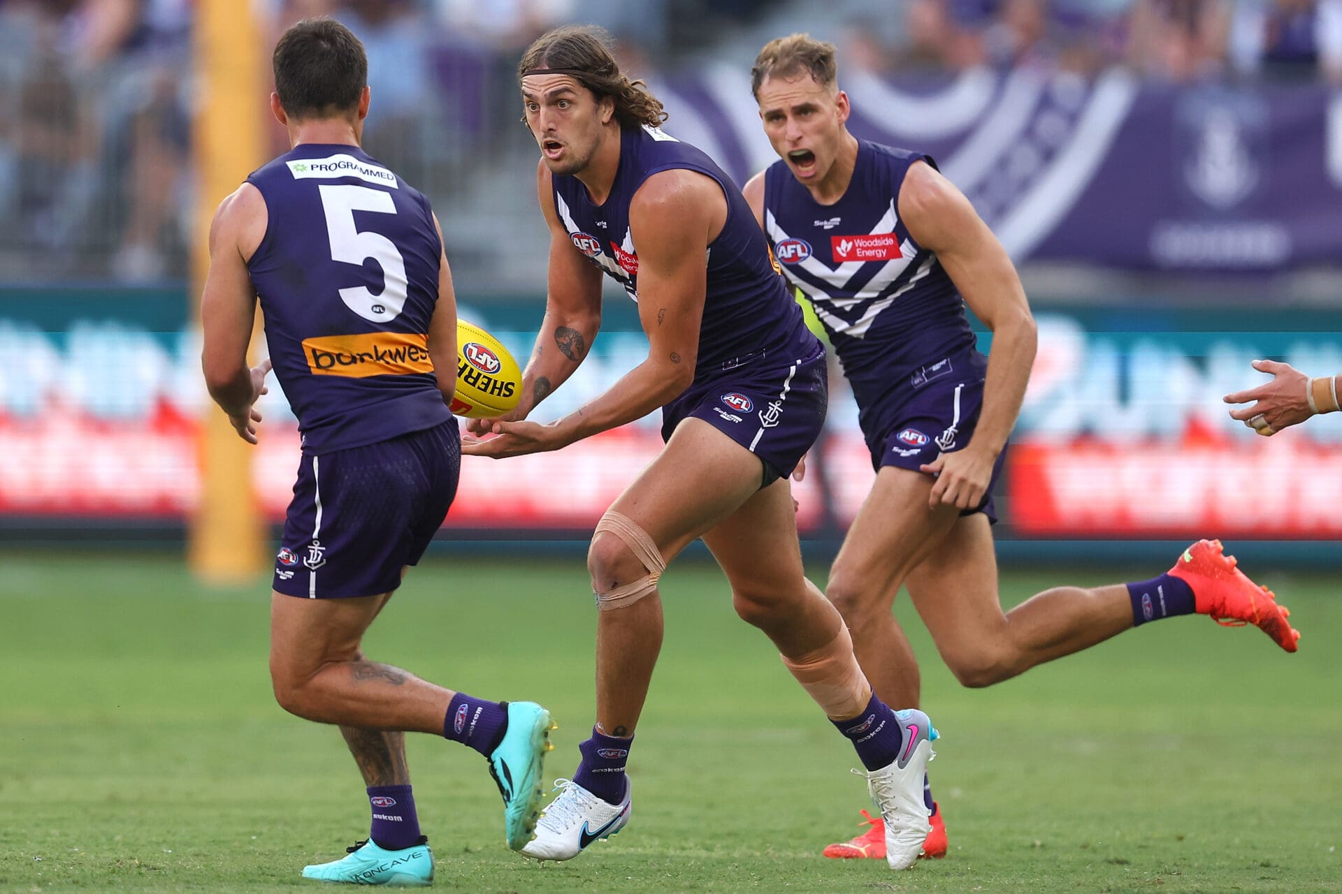 An almighty matchup, the veteran flying under the radar and the Swan ...