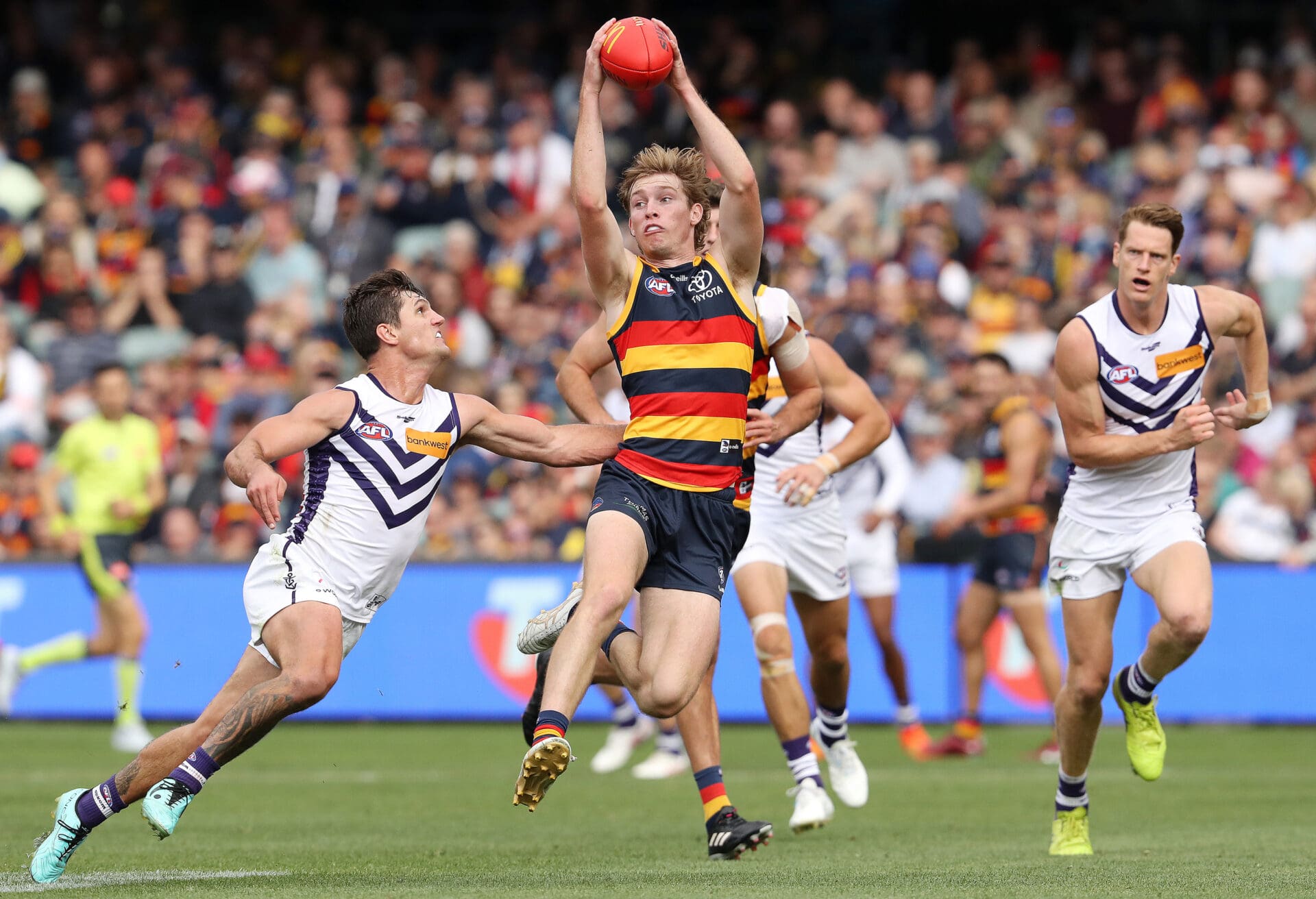 Adelaide add to signing frenzy with signature of first-round pick Max ...