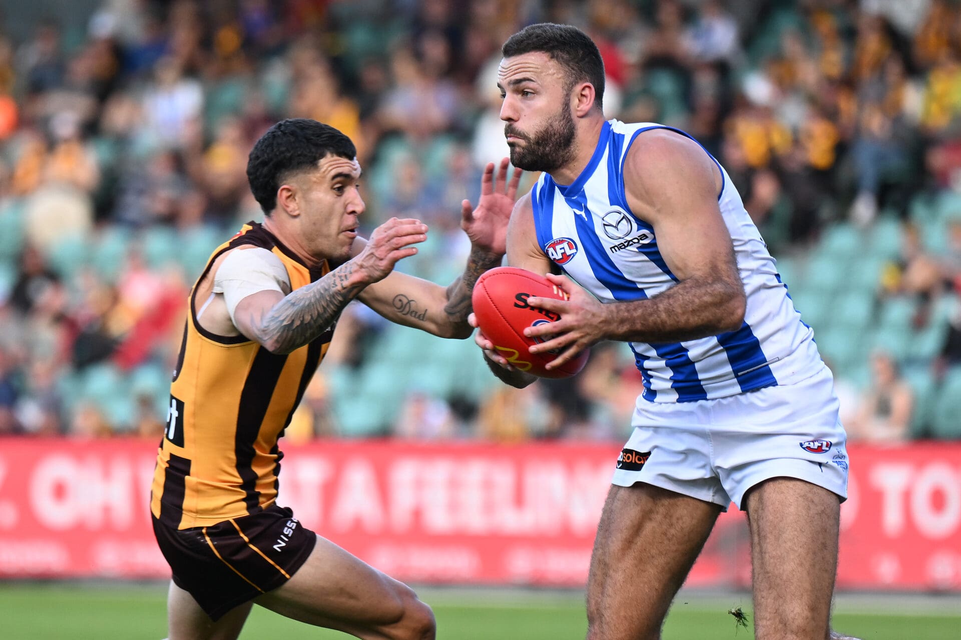 Logue, Acres learn Tribunal fates ahead of Good Friday date - Zero Hanger