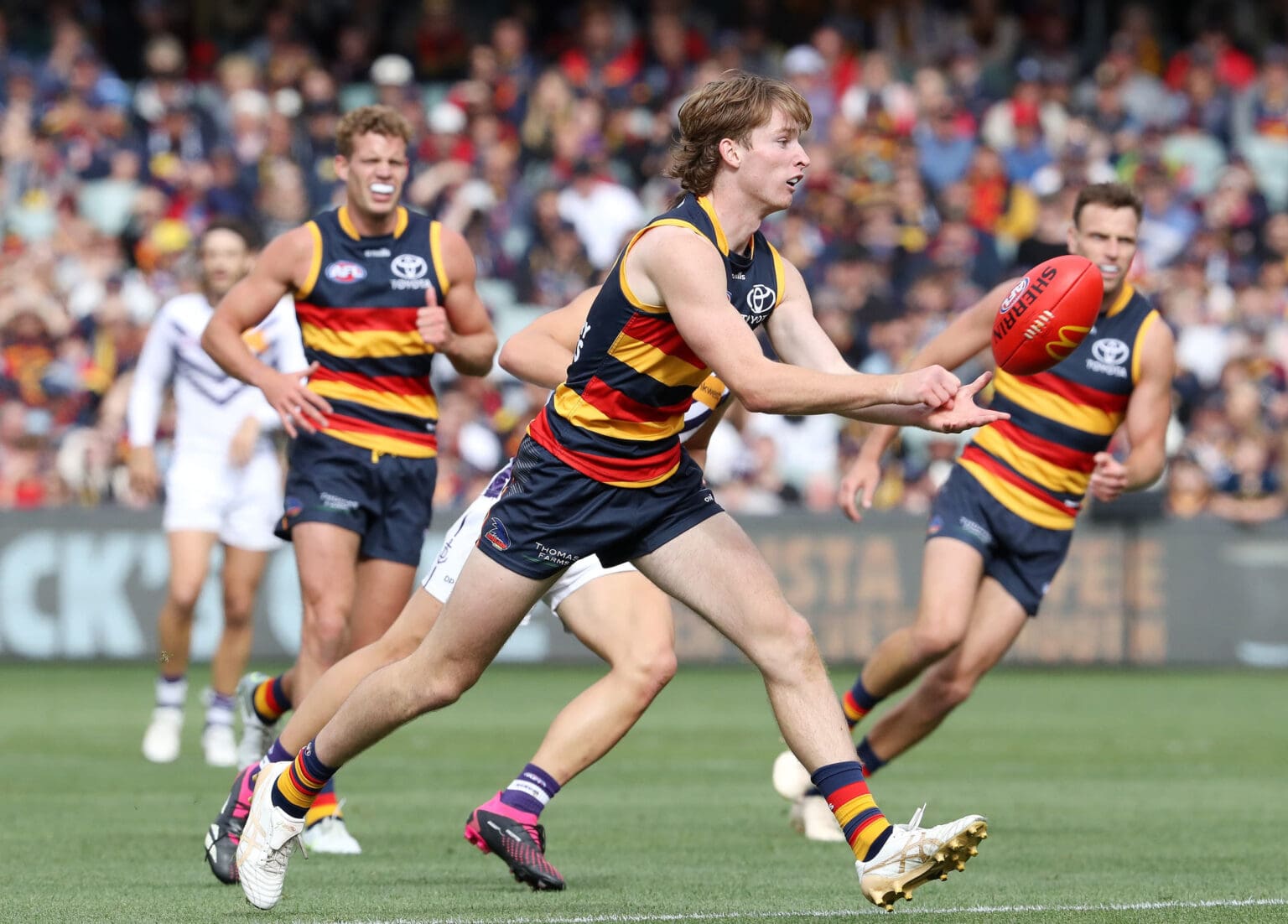 Every AFL team’s best 23 for 2025: Adelaide Crows - AFL News - Zero Hanger