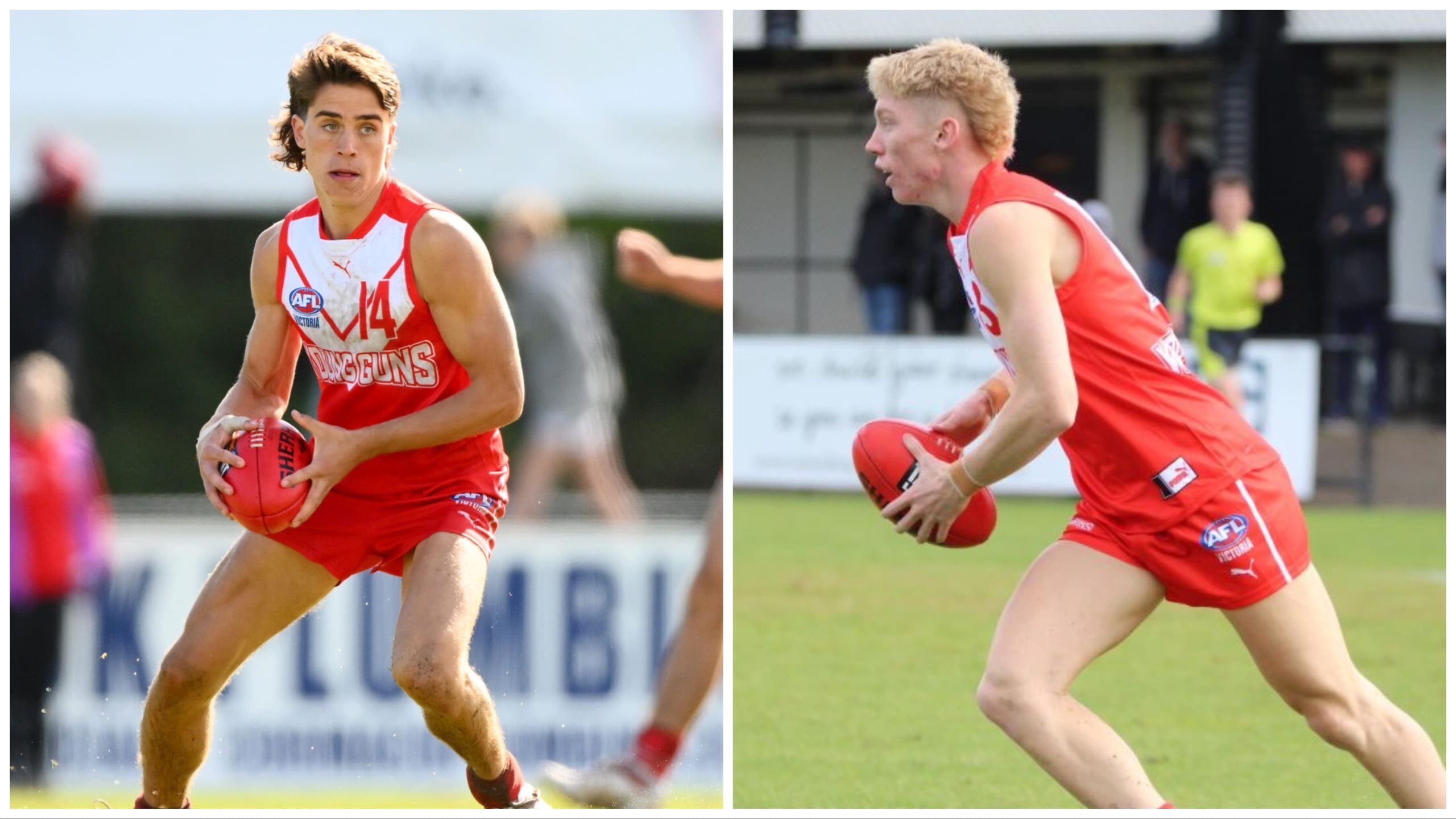 VFL clubs Box Hill, Richmond continuing as AFL recruiting gold mines ...