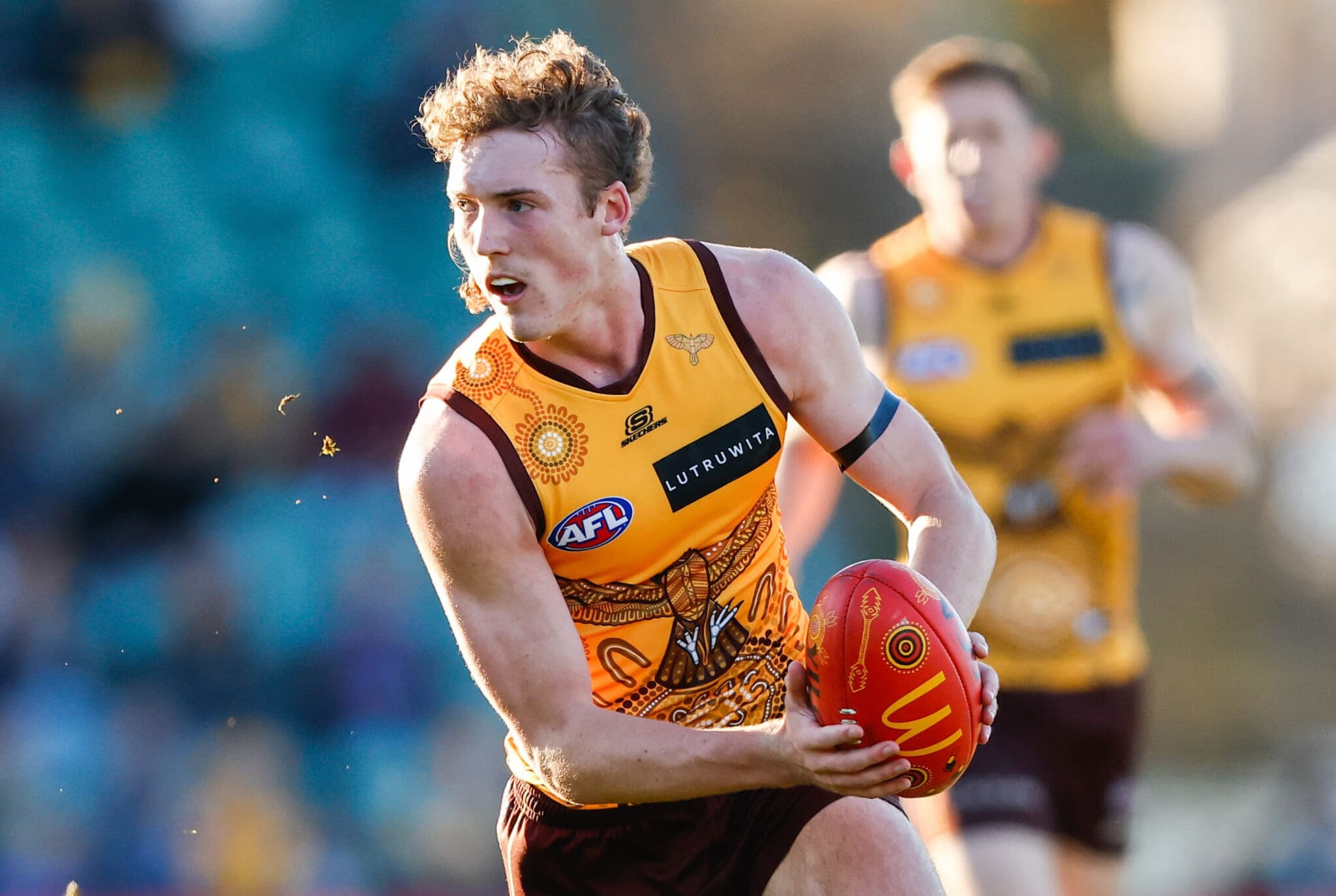 2024 AFL Preview: Hawthorn Hawks - AFL News - Zero Hanger