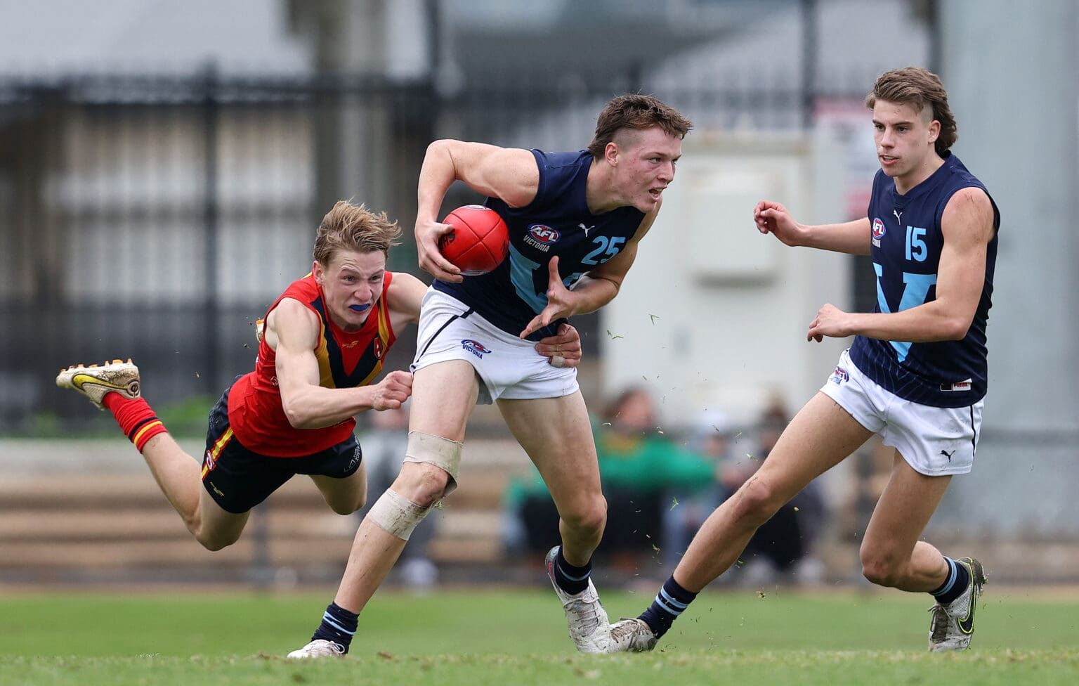 AFL Draft Profile: Logan Morris - AFL News - Zero Hanger