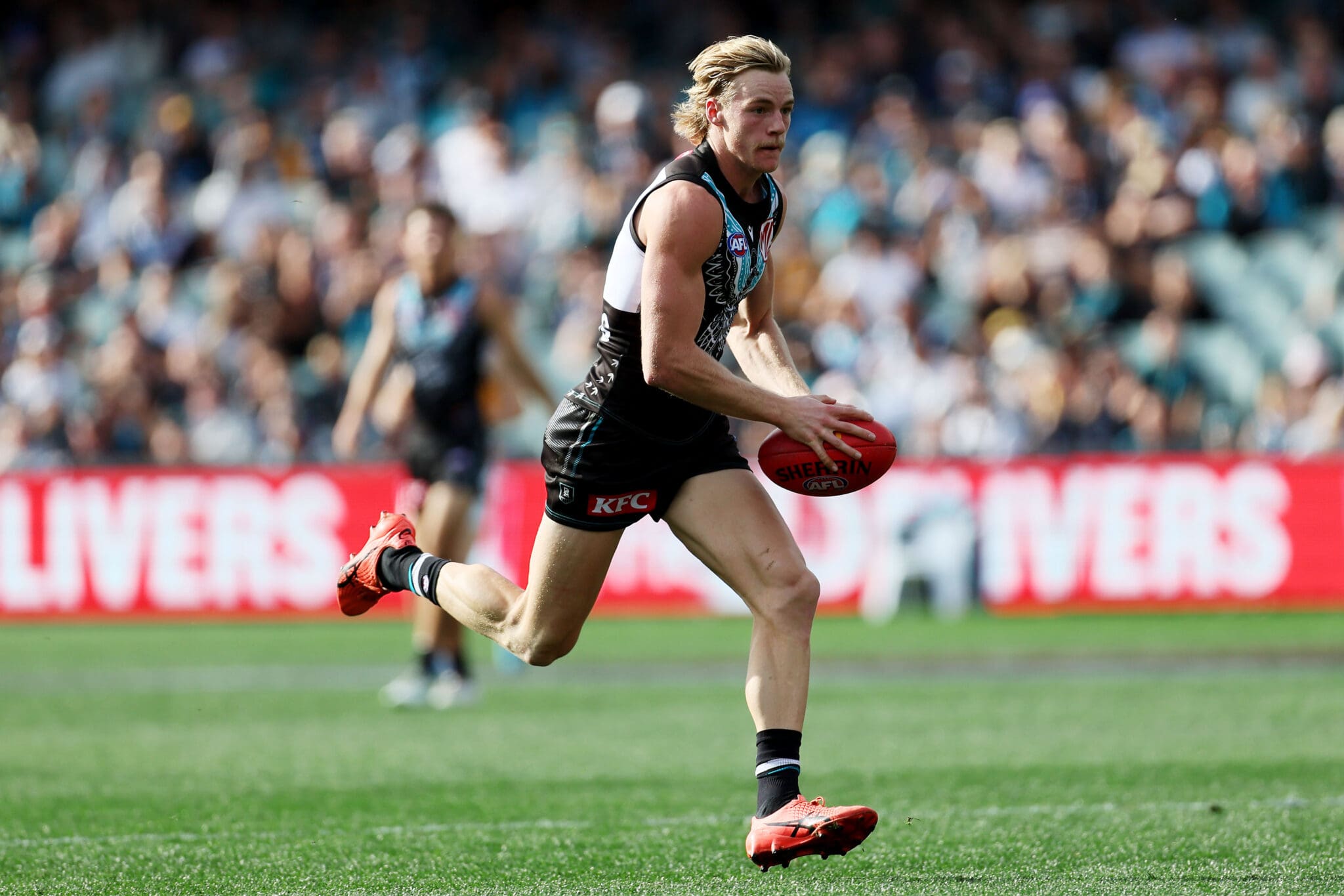 Port Adelaide's Miles Bergman reportedly makes call on future amid ...