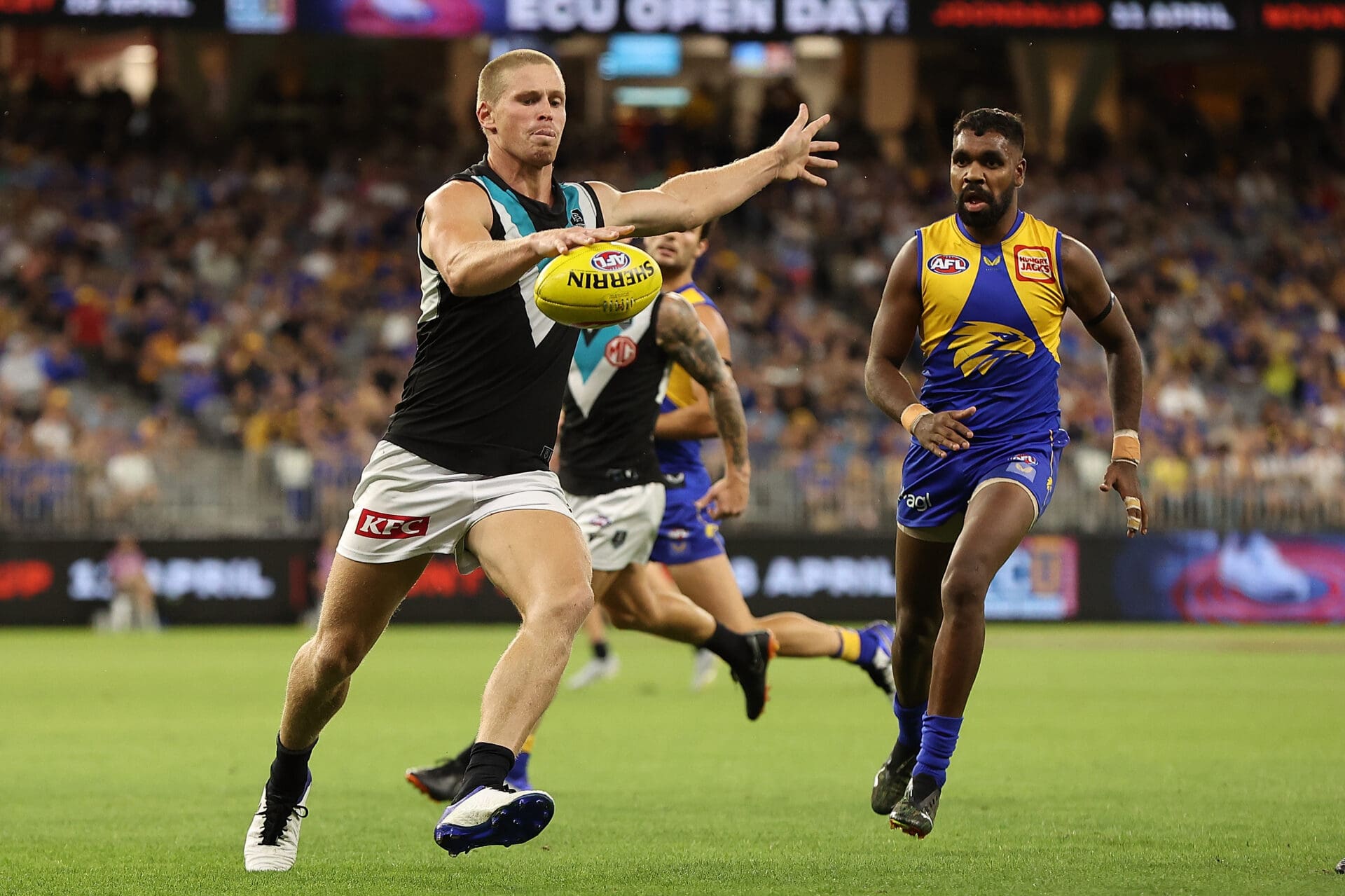 "That's the hope": Axed defender holding onto AFL dream - AFL News - Zero Hanger