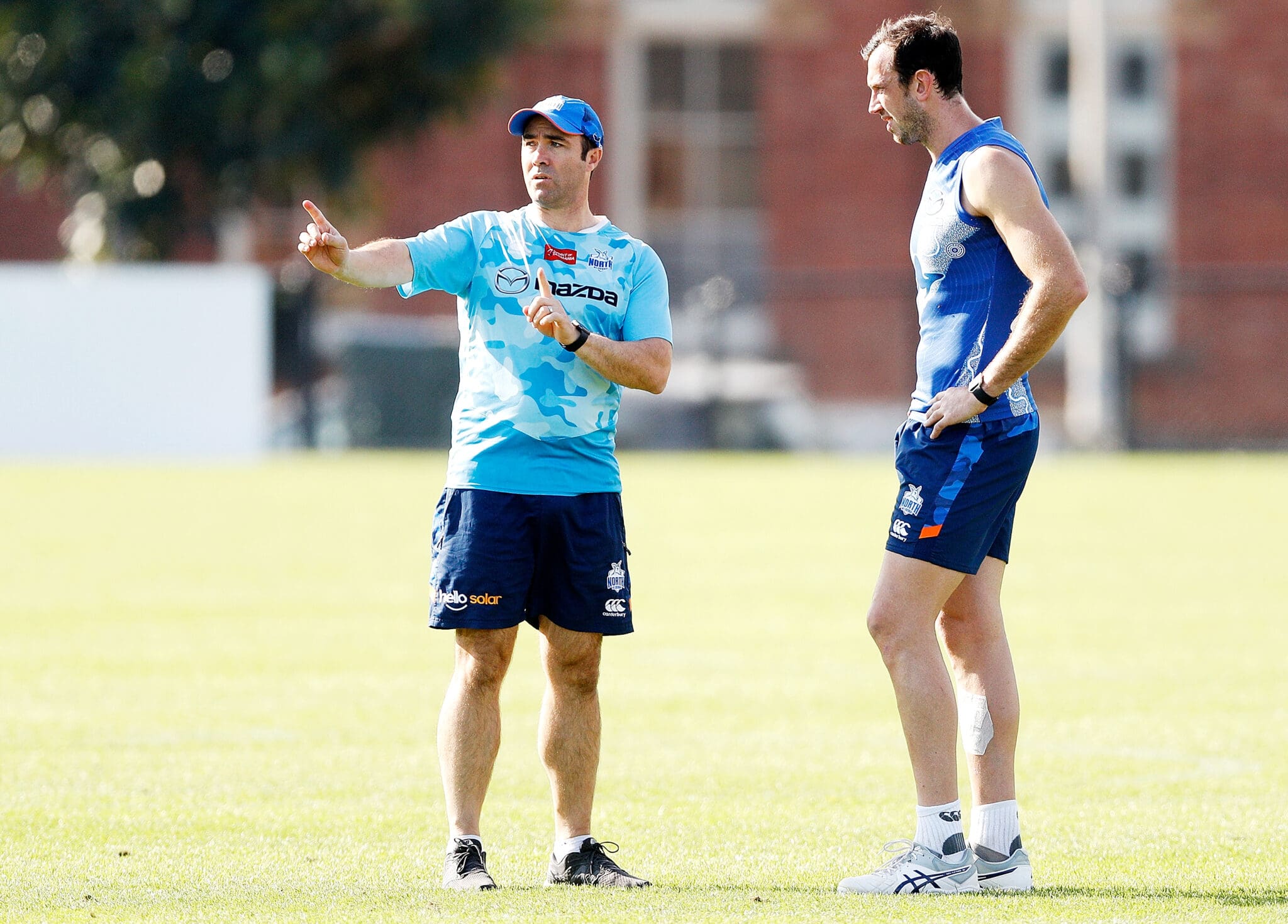 Brad Scott reportedly 'sounding out' familiar face to join Dons: AFL trade news - AFL News ...