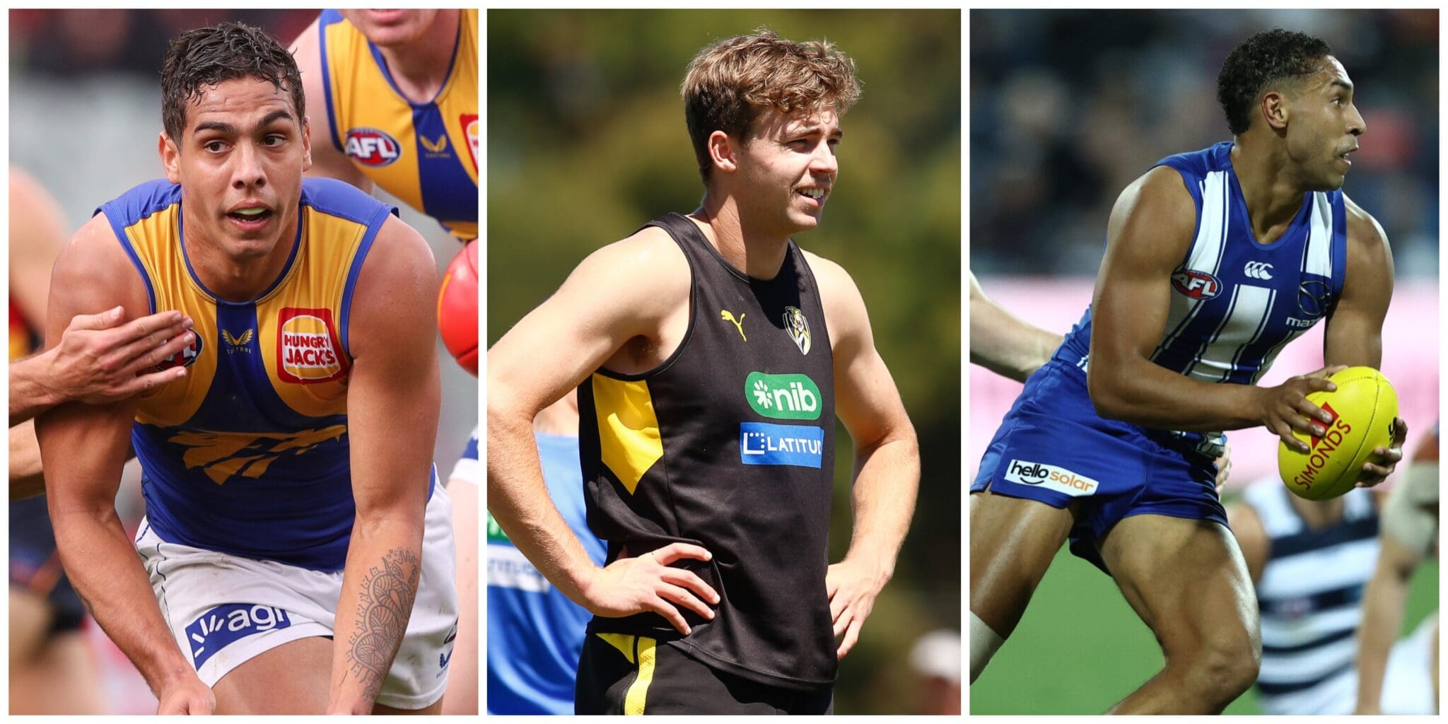 Every delisted AFL player for 2023 - AFL News - Zero Hanger