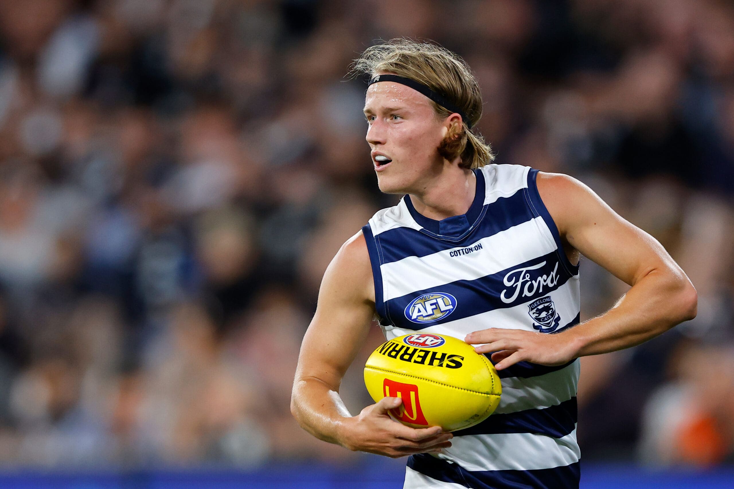 Former Cat finds new club - AFL News - Zero Hanger