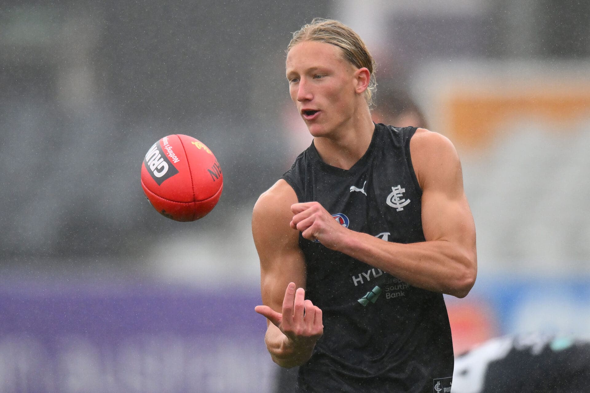 Carlton's second-year speedster and the SSP option who could help fill ...