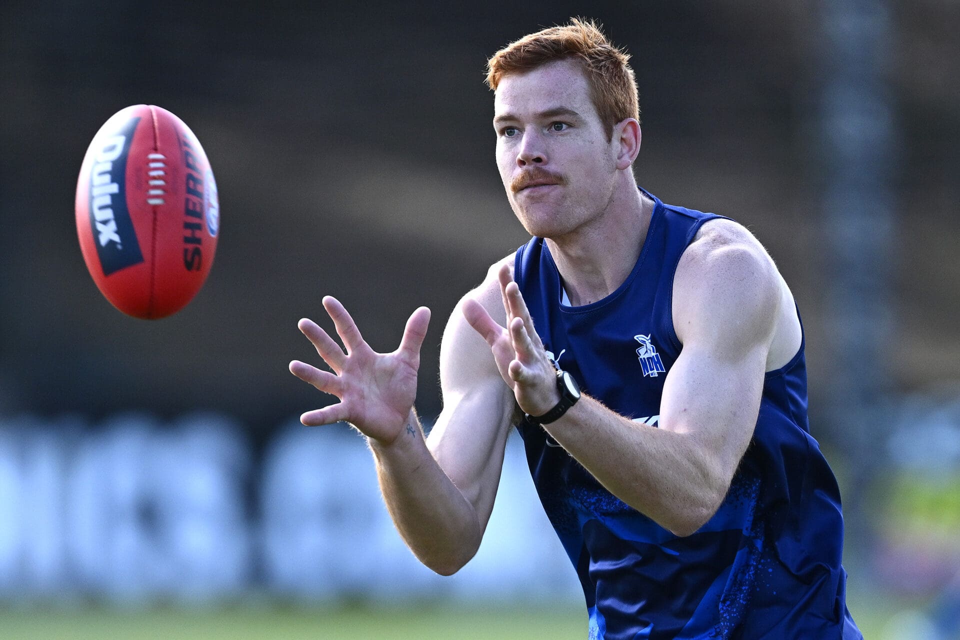 North Melbourne make list change - AFL News - Zero Hanger