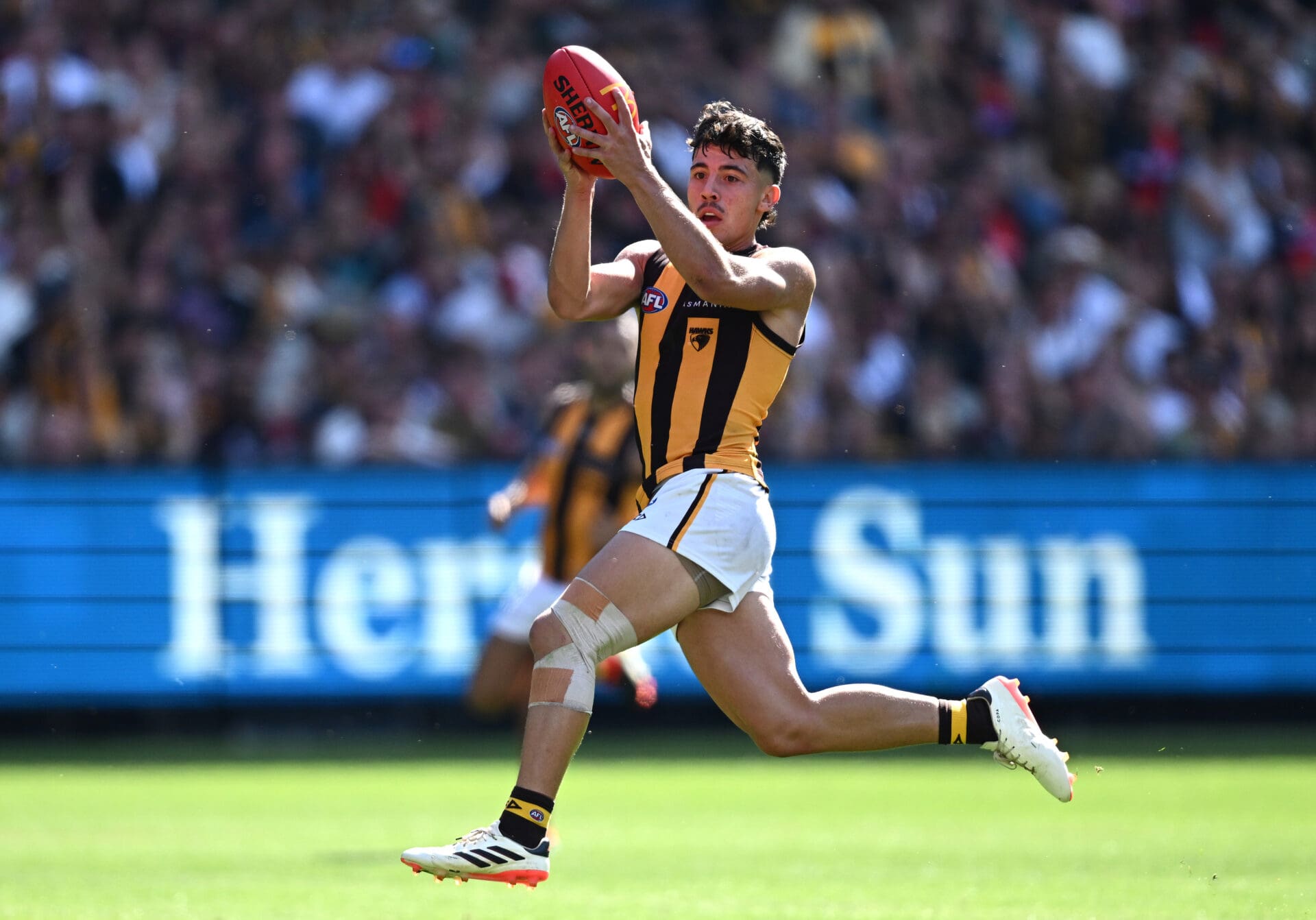 Latest news - Zero Hanger