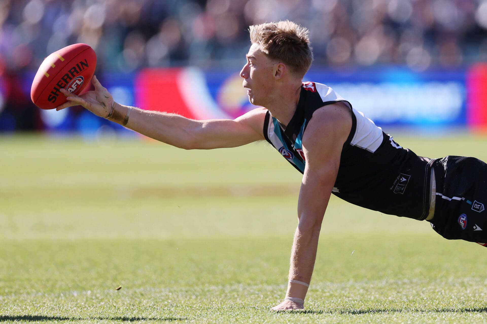 Port Adelaide reveal new trend for 2025 - Zero Hanger