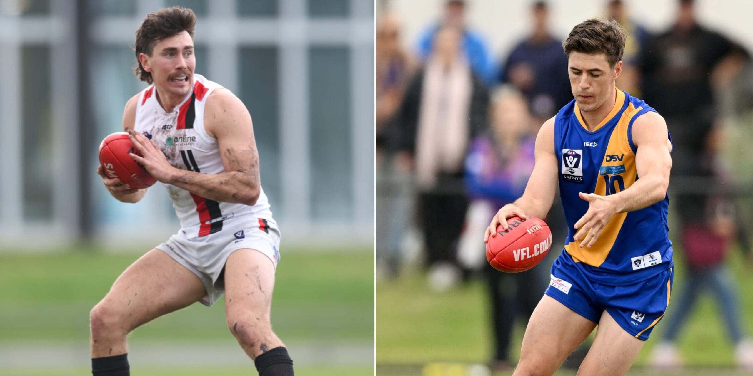 A Dolphins hero stands tall as Tigers swarmed by Seagulls in Wildcard ...