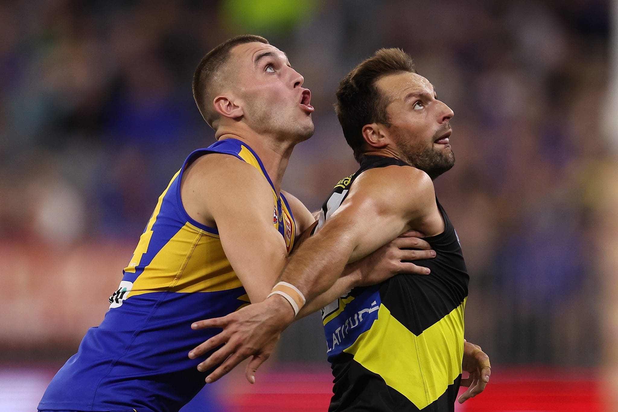 Former two-club AFL ruckman makes WAFL return - AFL News - Zero Hanger