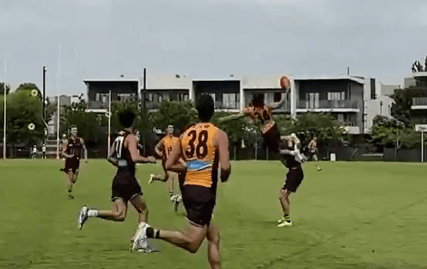 WATCH: Hawthorn forward takes magical hanger during pre-season hitout ...
